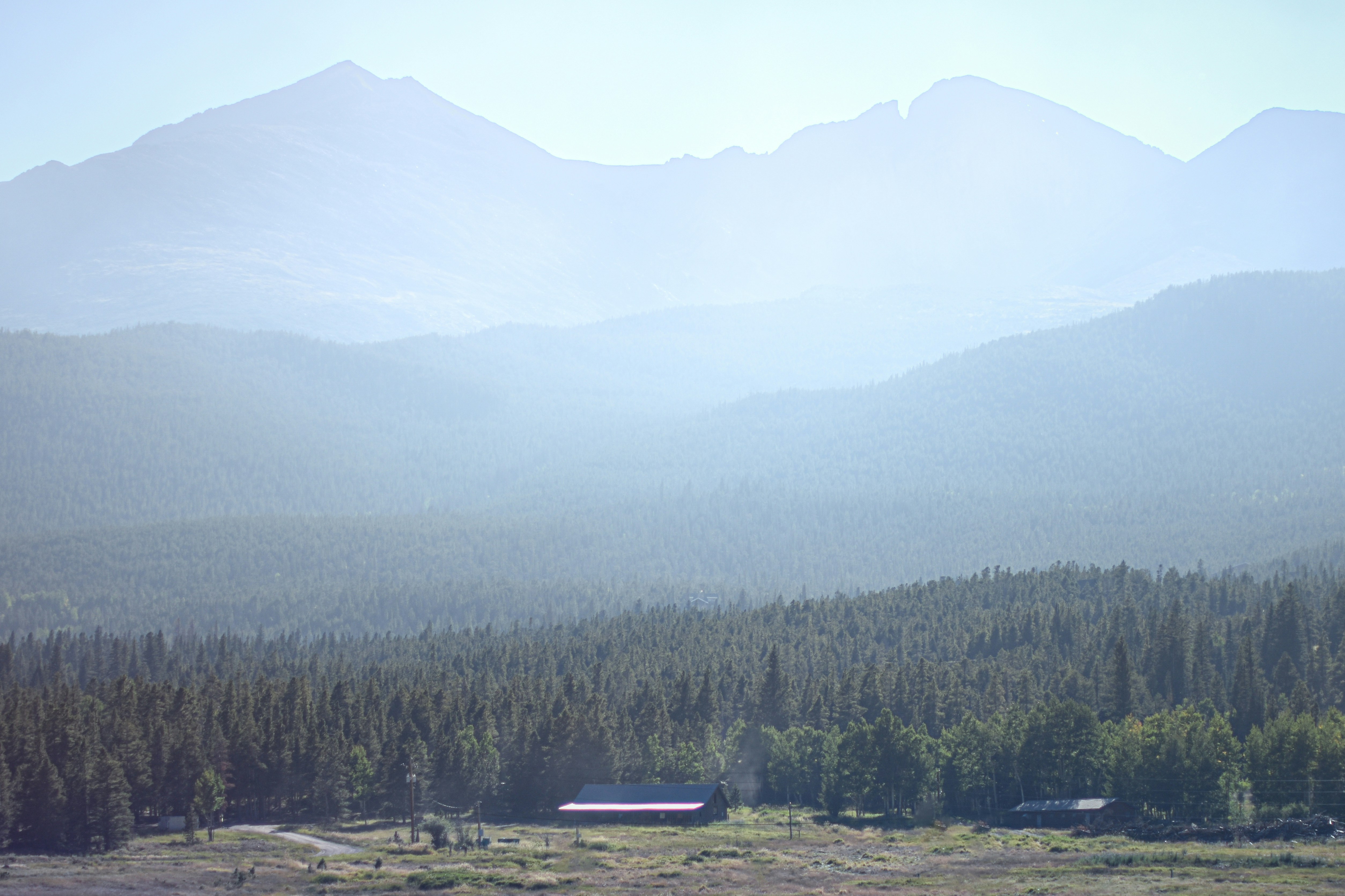 Quiet Basin: Morning Mist Over Pine Forest and Slate Ridge