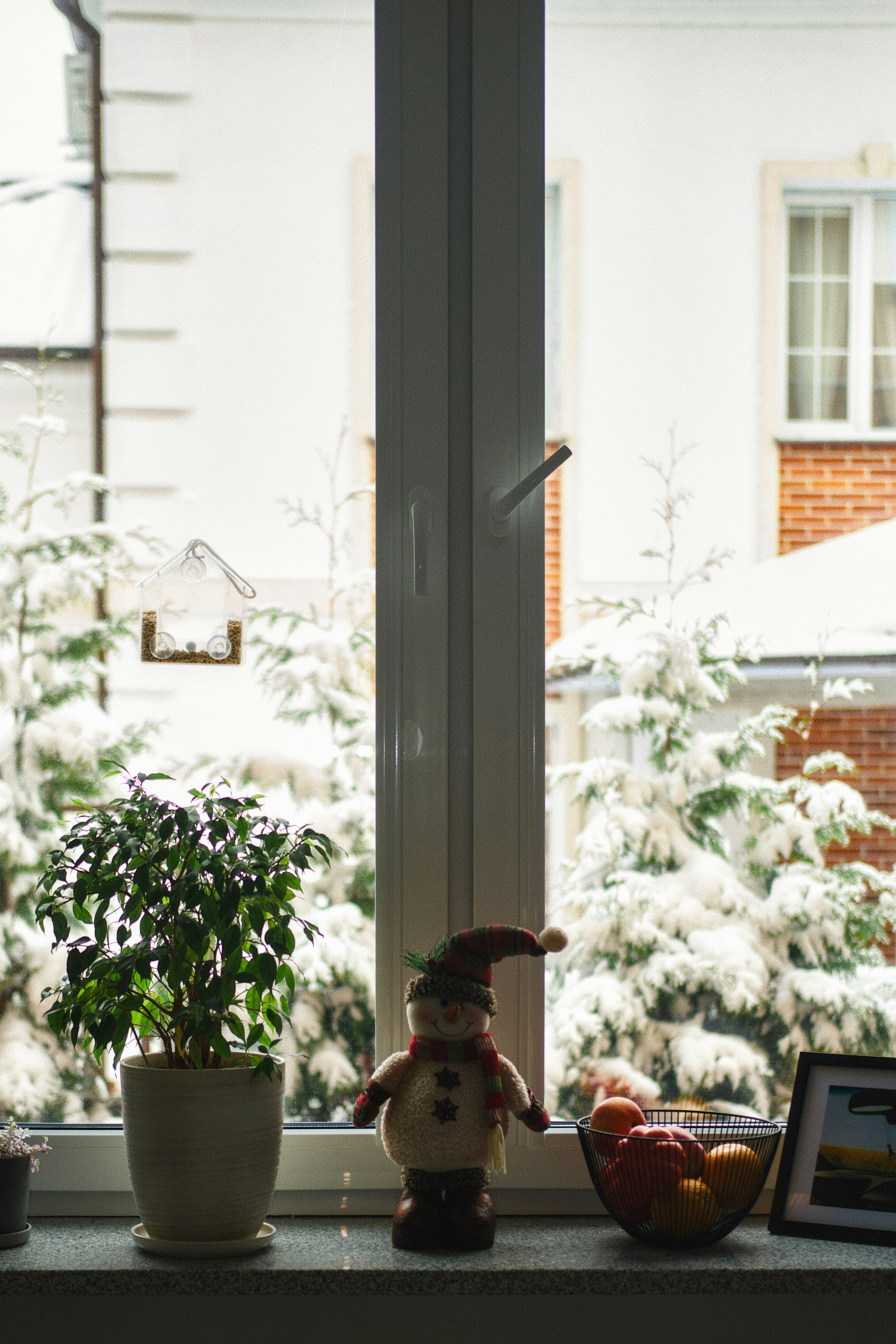 Snowy Windowsill still life with plant, snow-dusted courtyard, and a tiny snowman