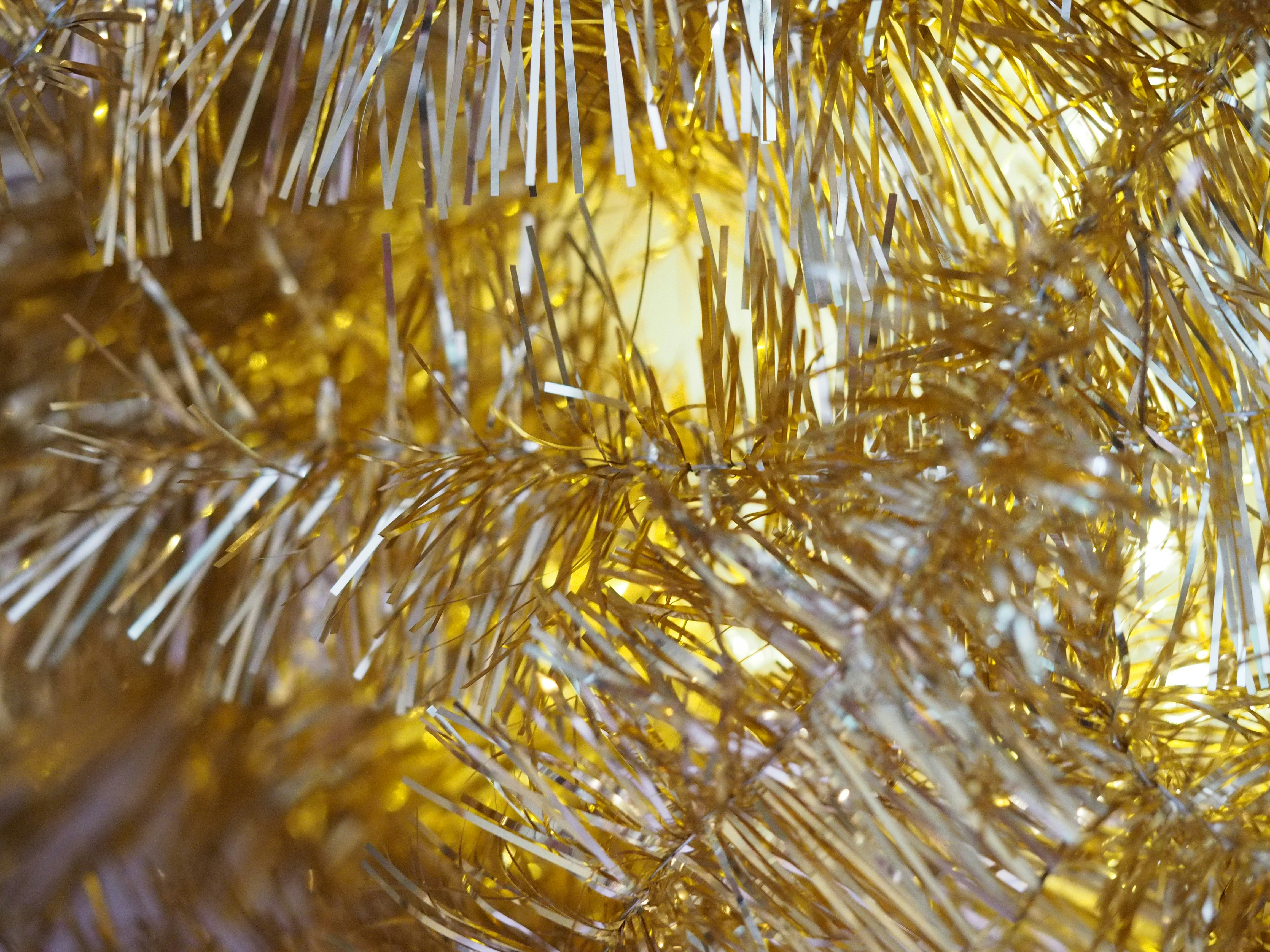 Photo by Jess Bailey with Olympus OM-D E-M10 Mark II