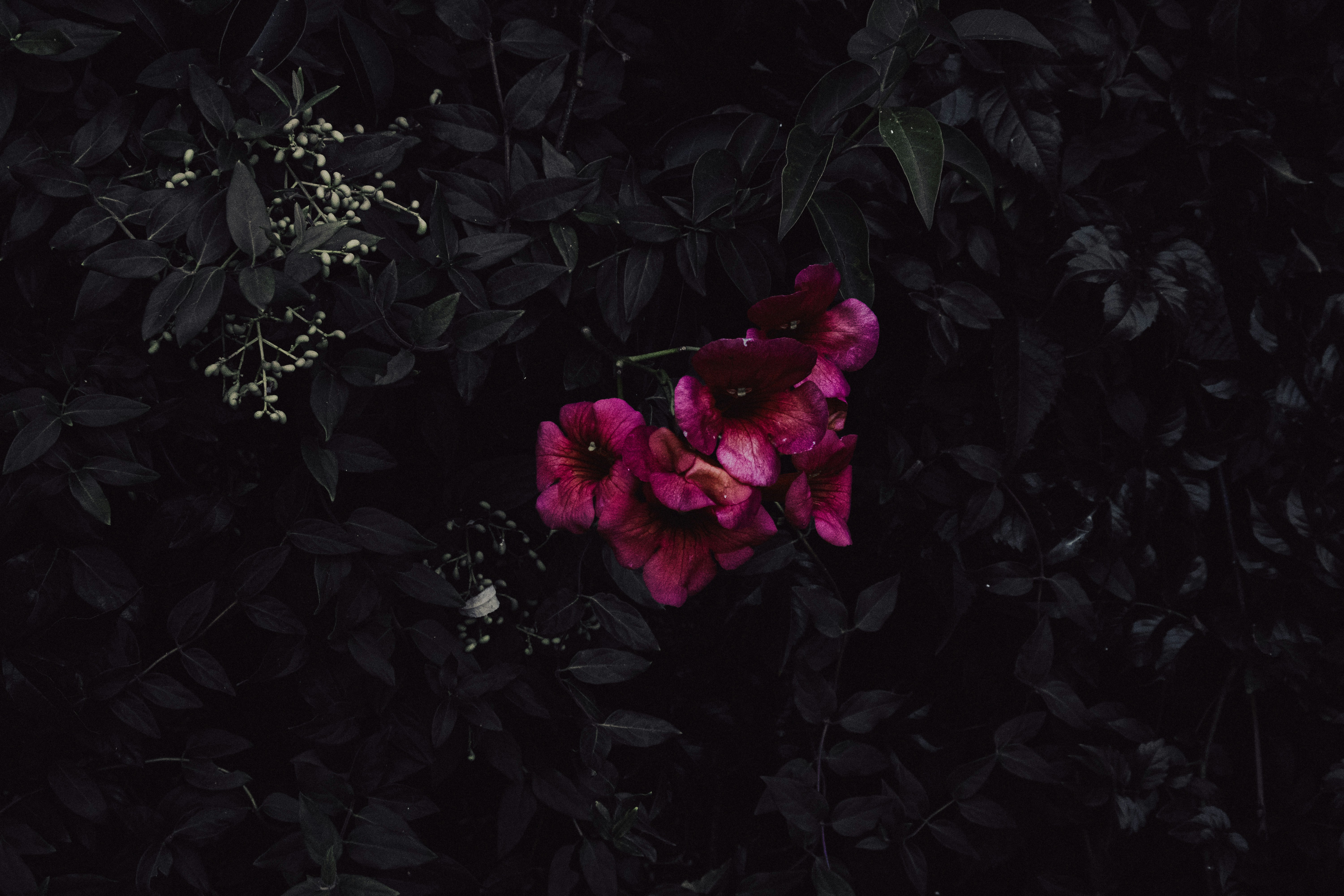 Photo by aelina photography with Canon EOS R50