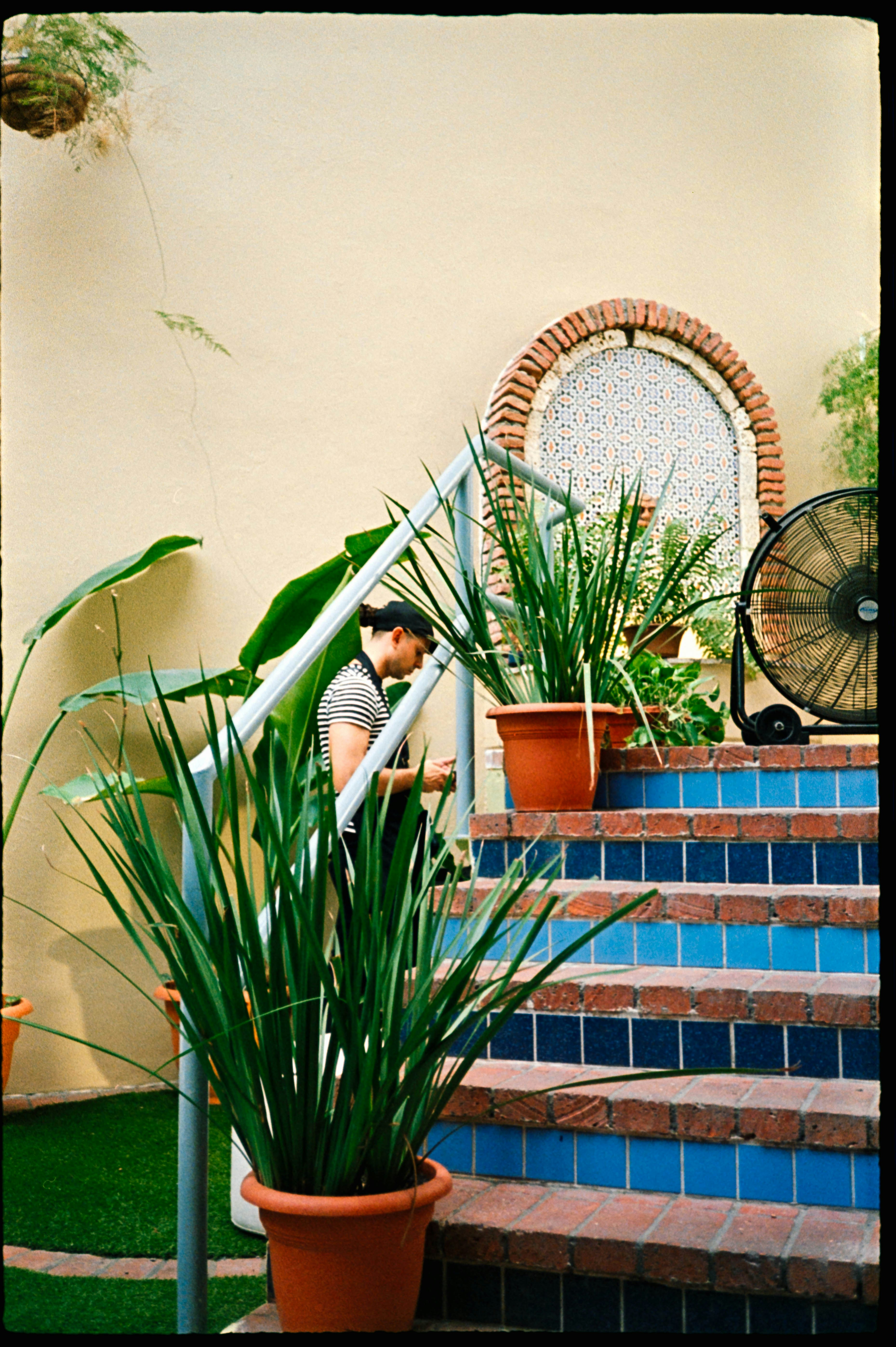 Plant-lined staircase leads to a tiled arch and a lone passerby