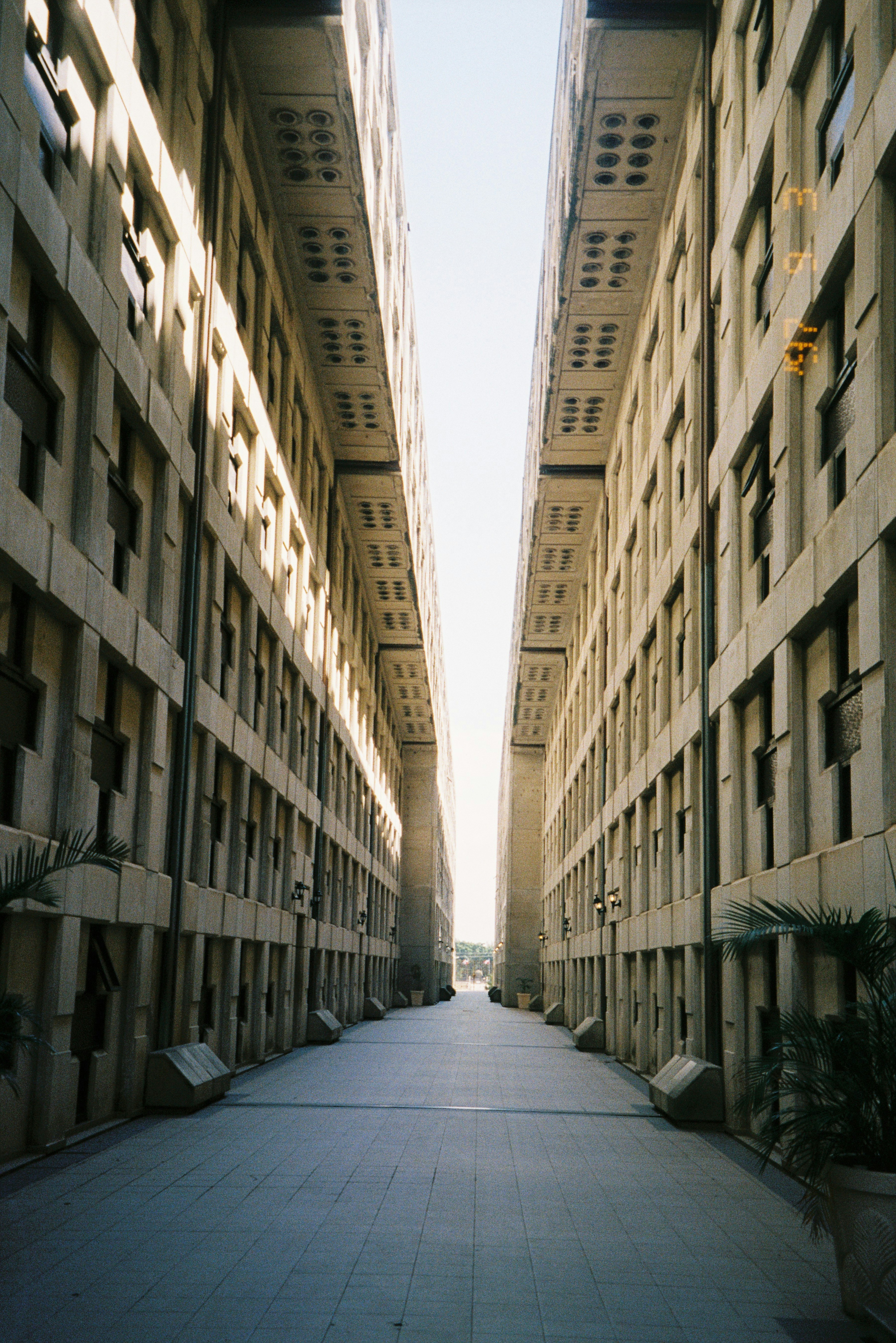 Between the Towers: LightBreath Alley