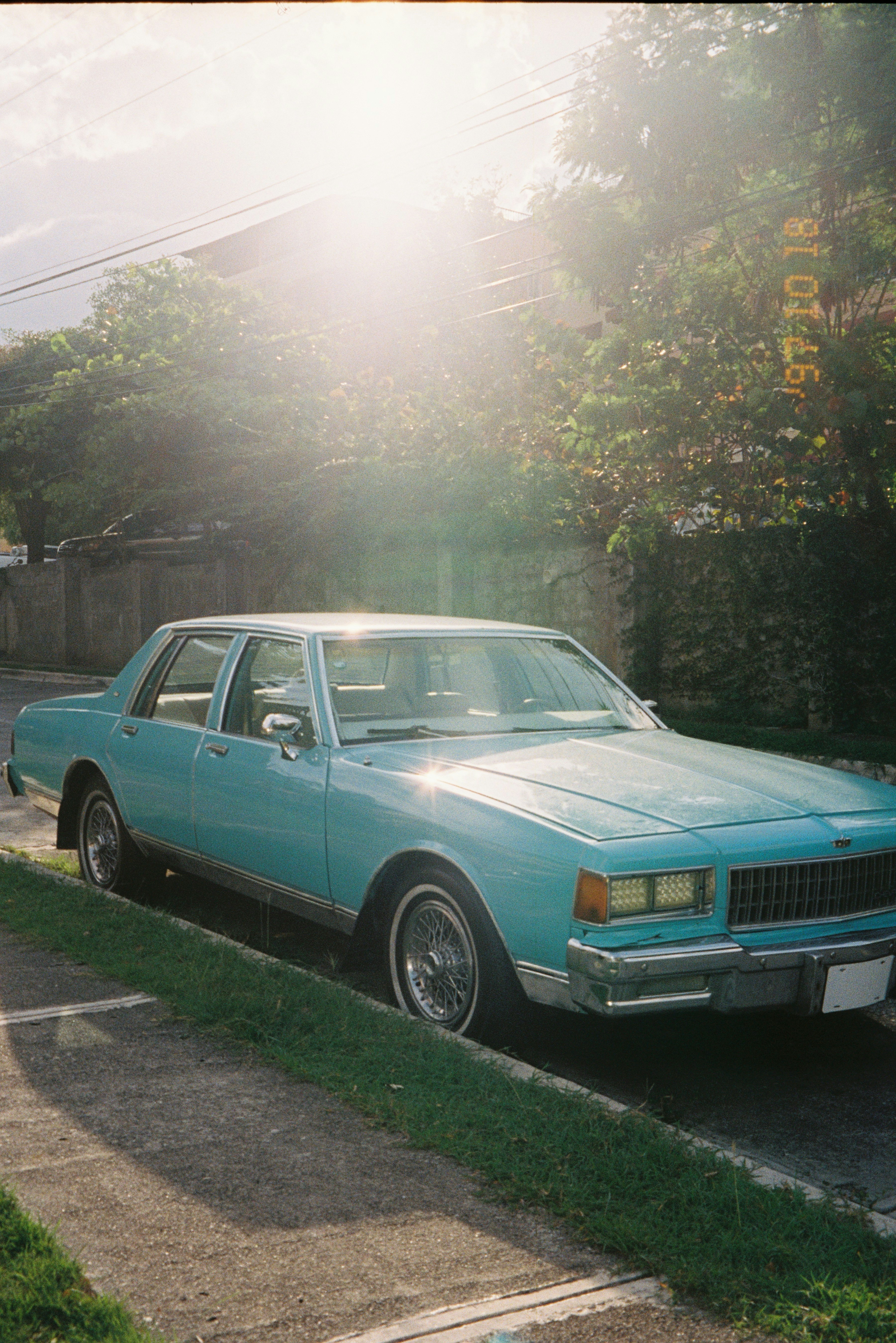 Photo by Laura Durán with Fujifilm SP500