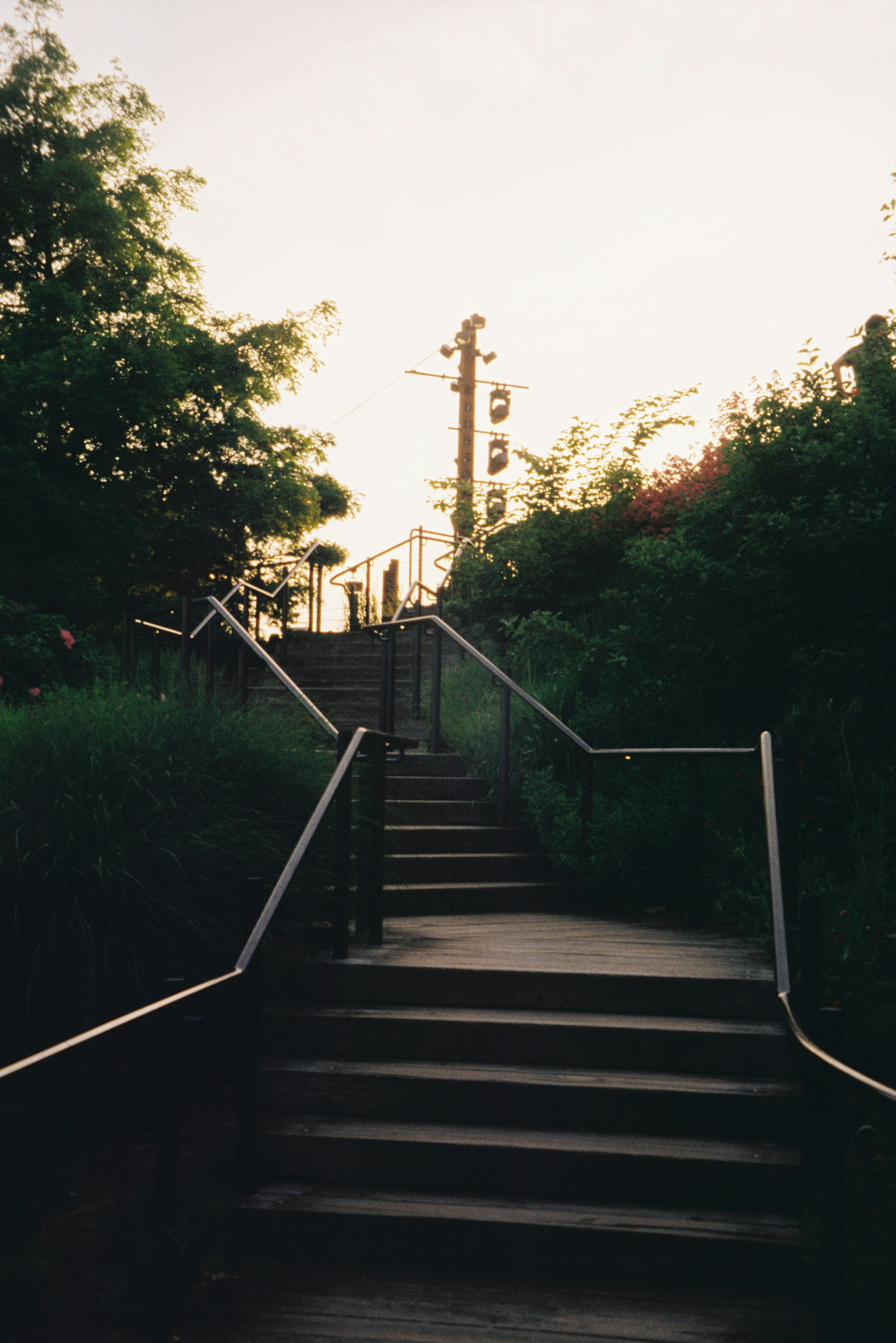 Photo by Laura Durán with Fujifilm SP500