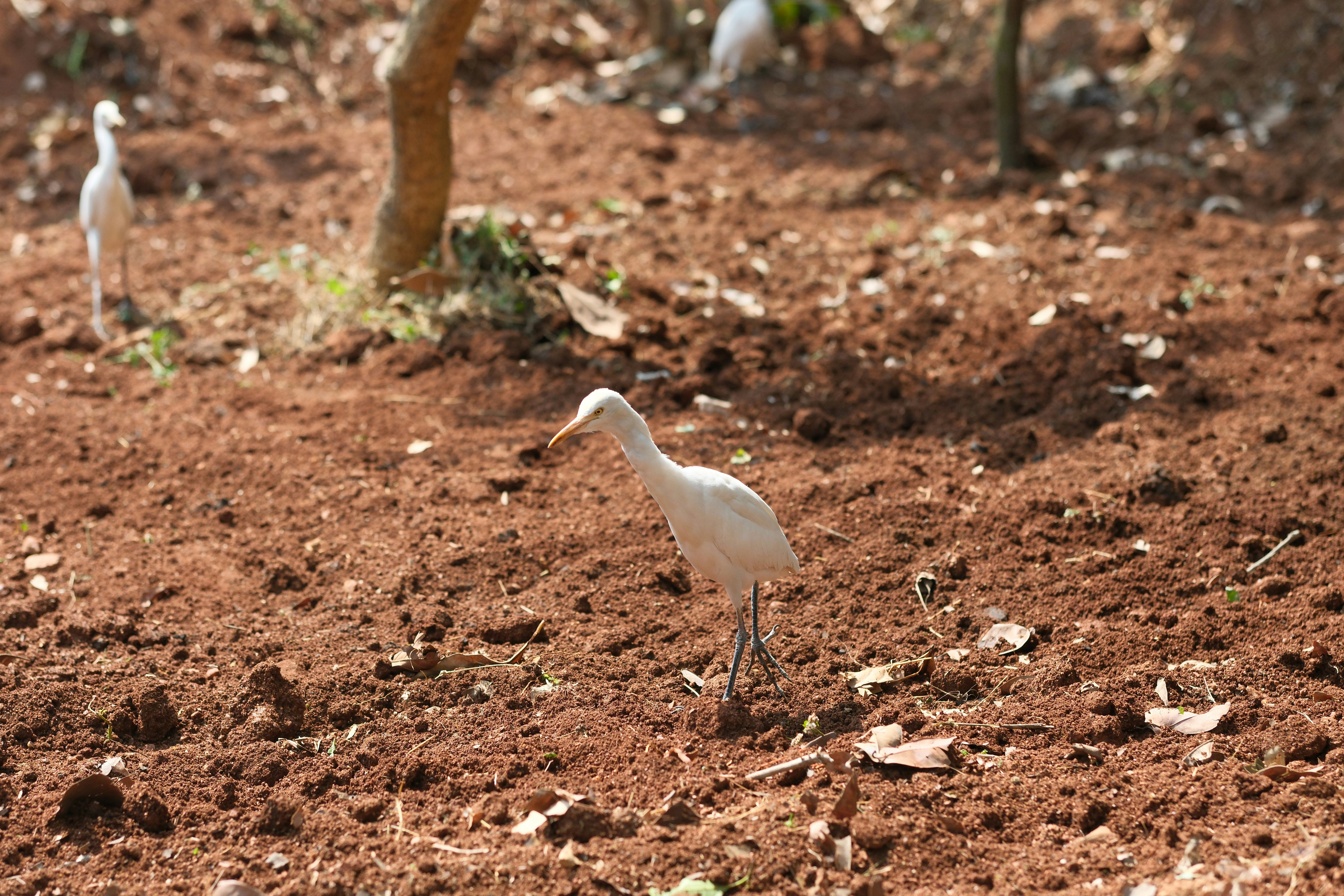 Photo by Dmitriy Sarychev with Fujifilm X-T5