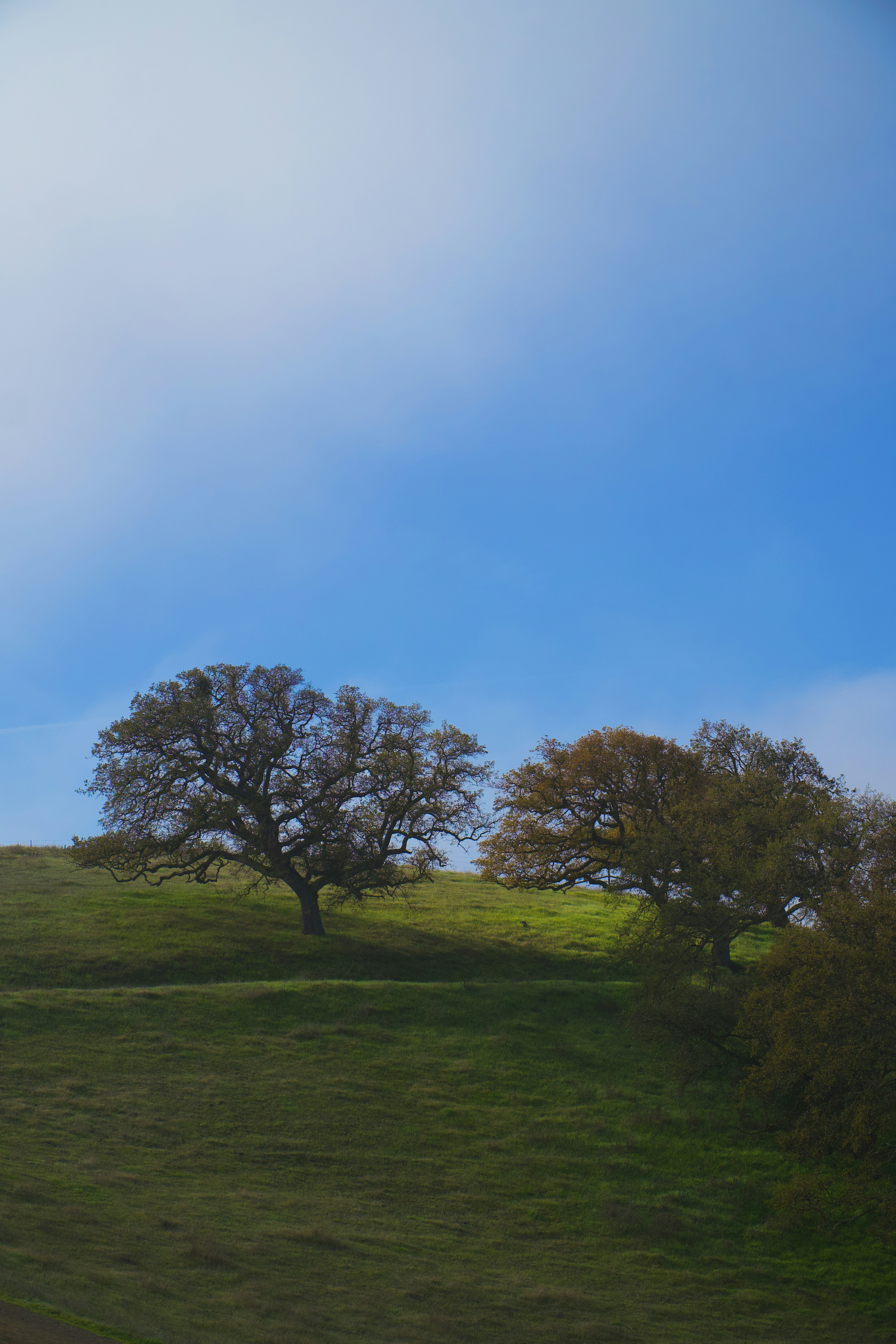 Photo by Spencer DeMera with Sony Alpha 6400