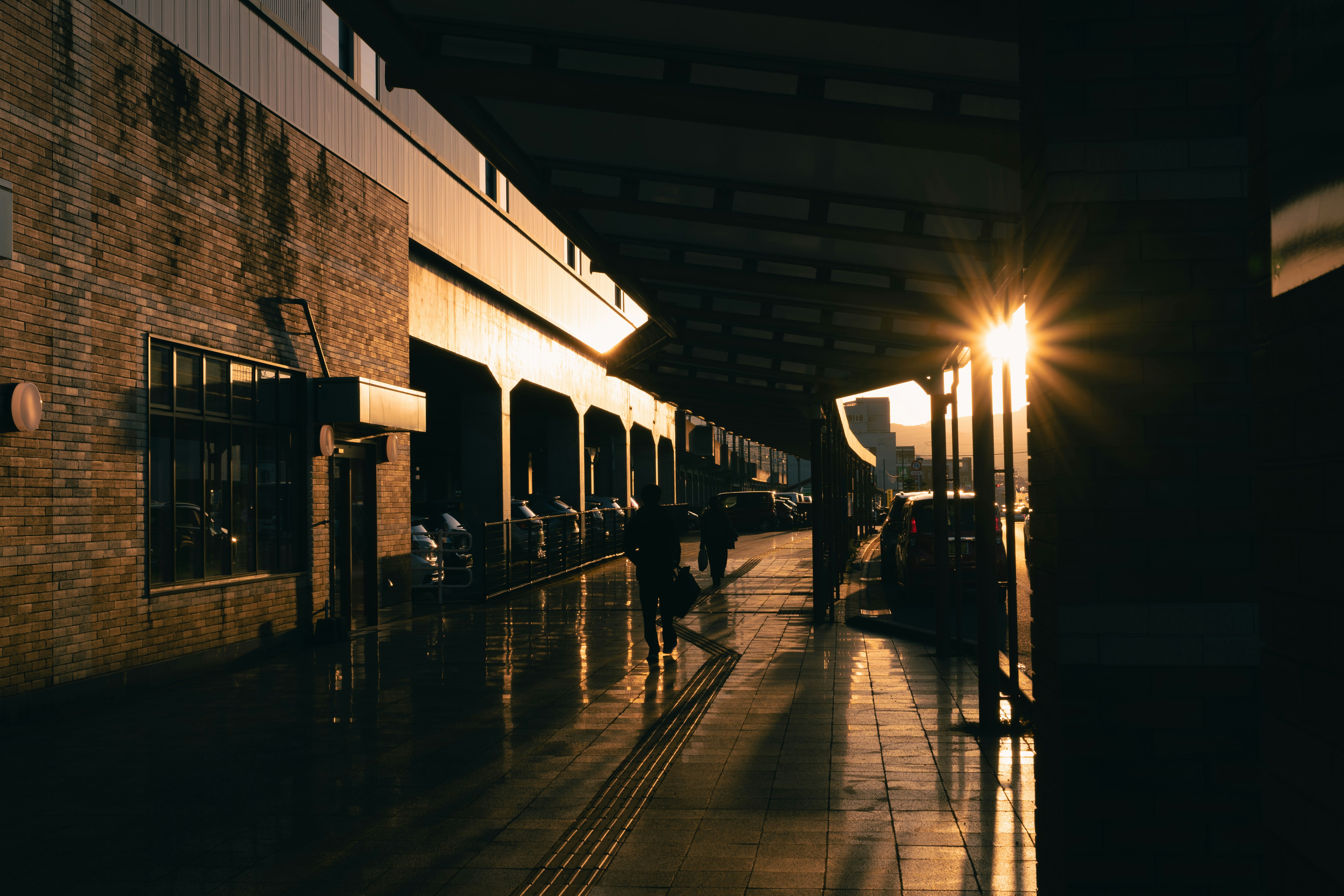 Photo by Squids Z with Sony Alpha 6700