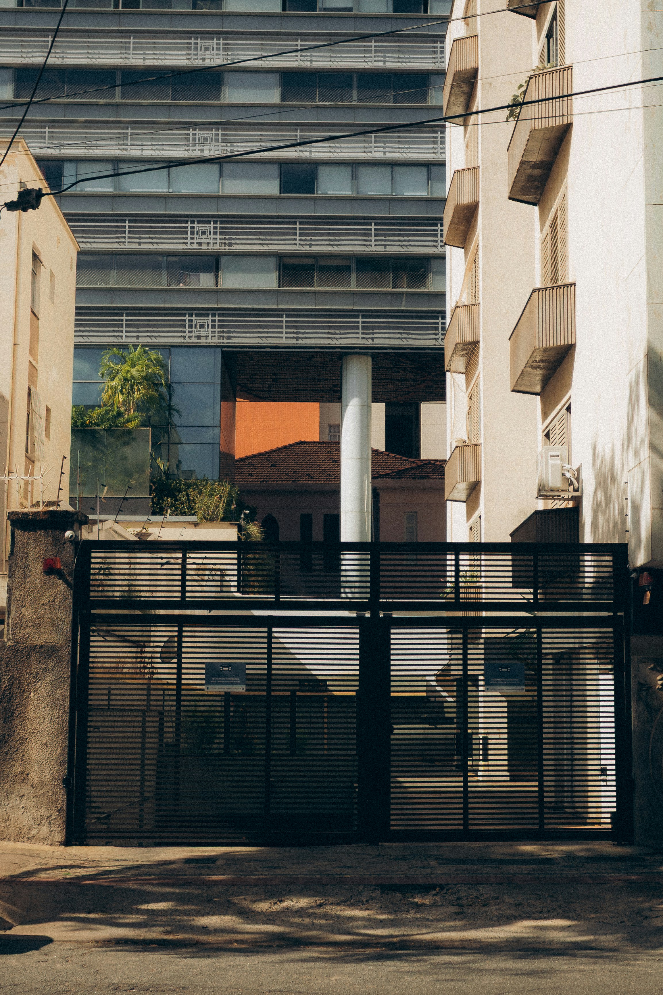 Photo by Helena Lopes with Canon EOS R6