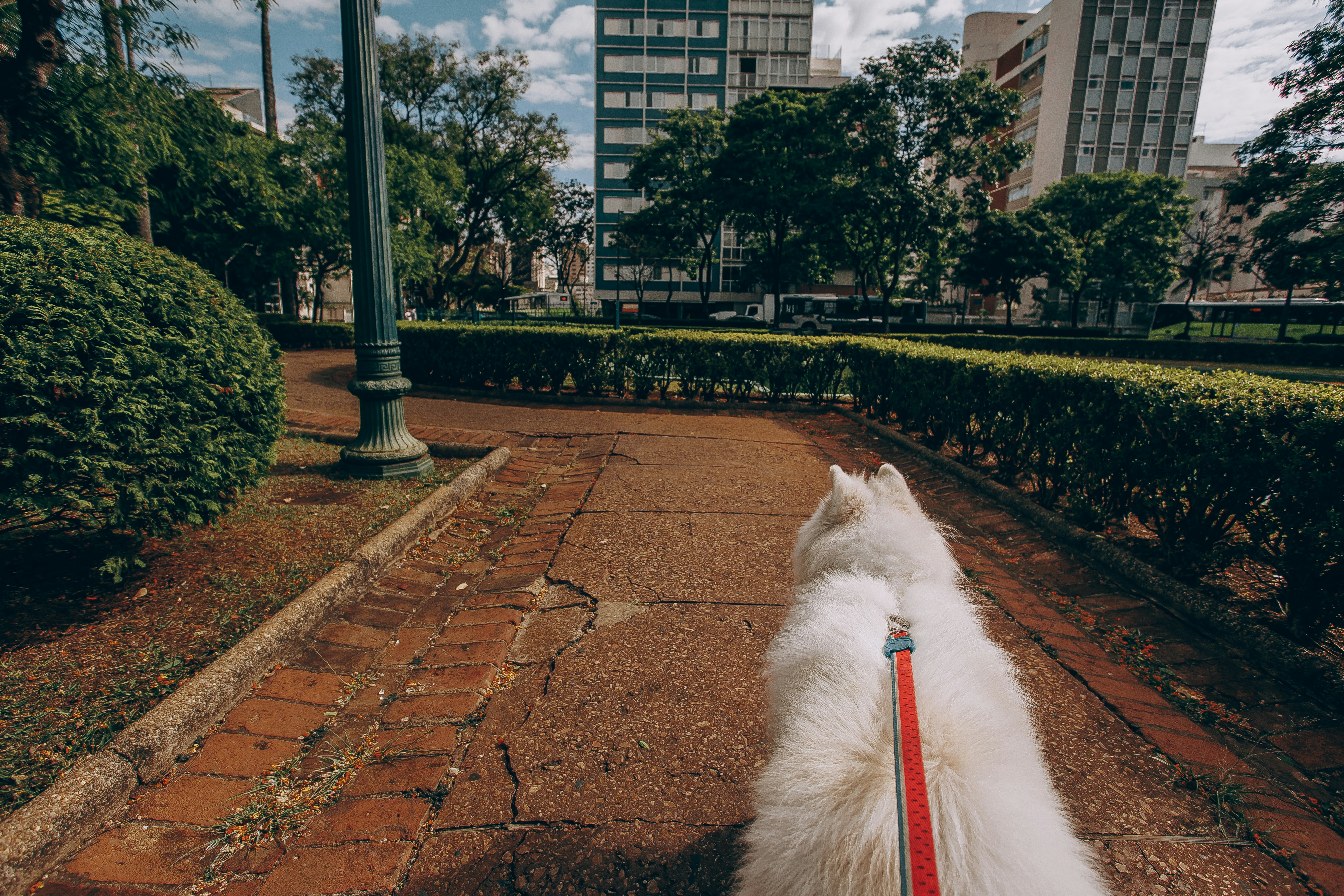 Photo by Helena Lopes with Canon EOS R6