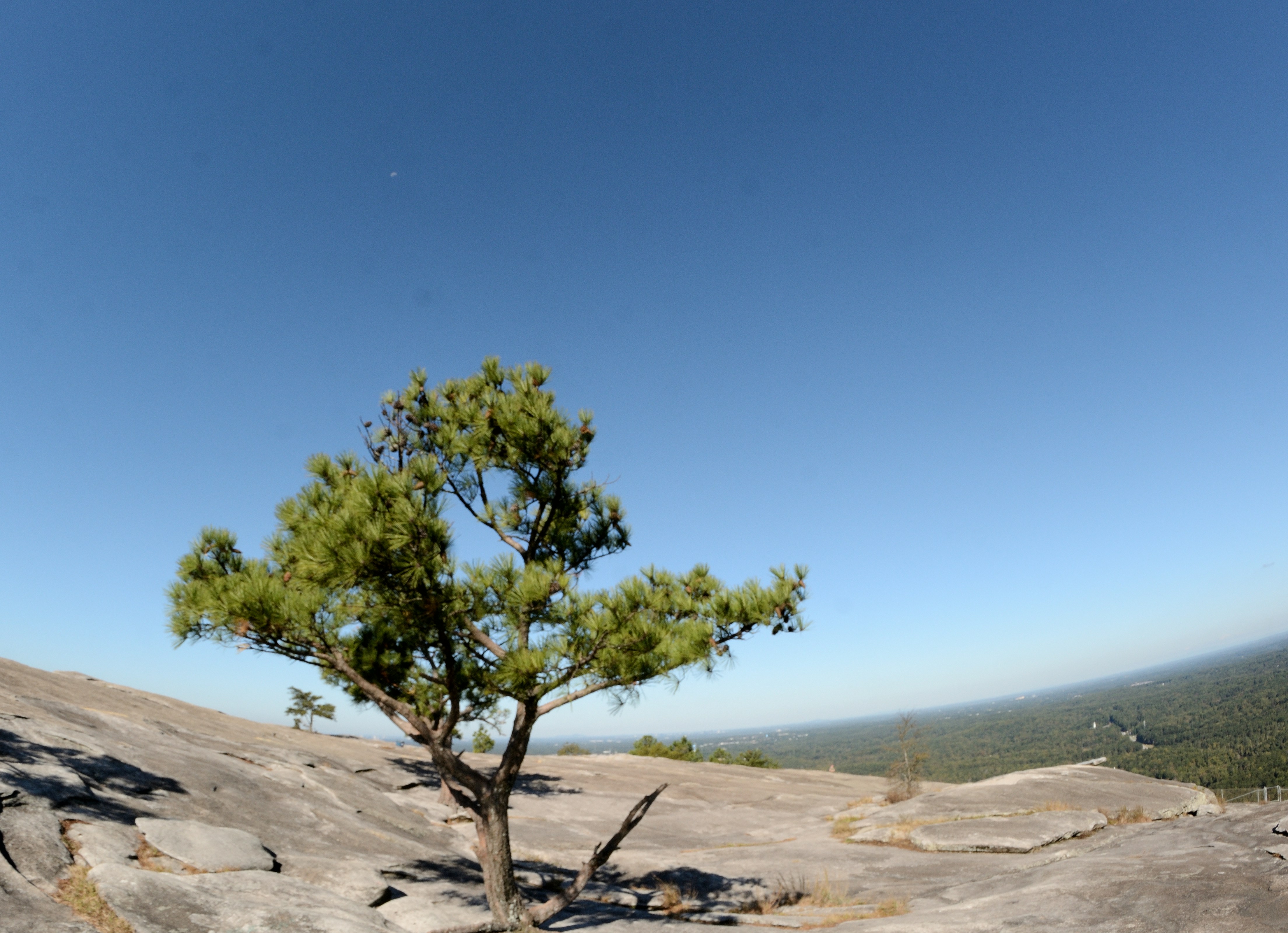 Photo by Sastry Karra with Nikon D7100