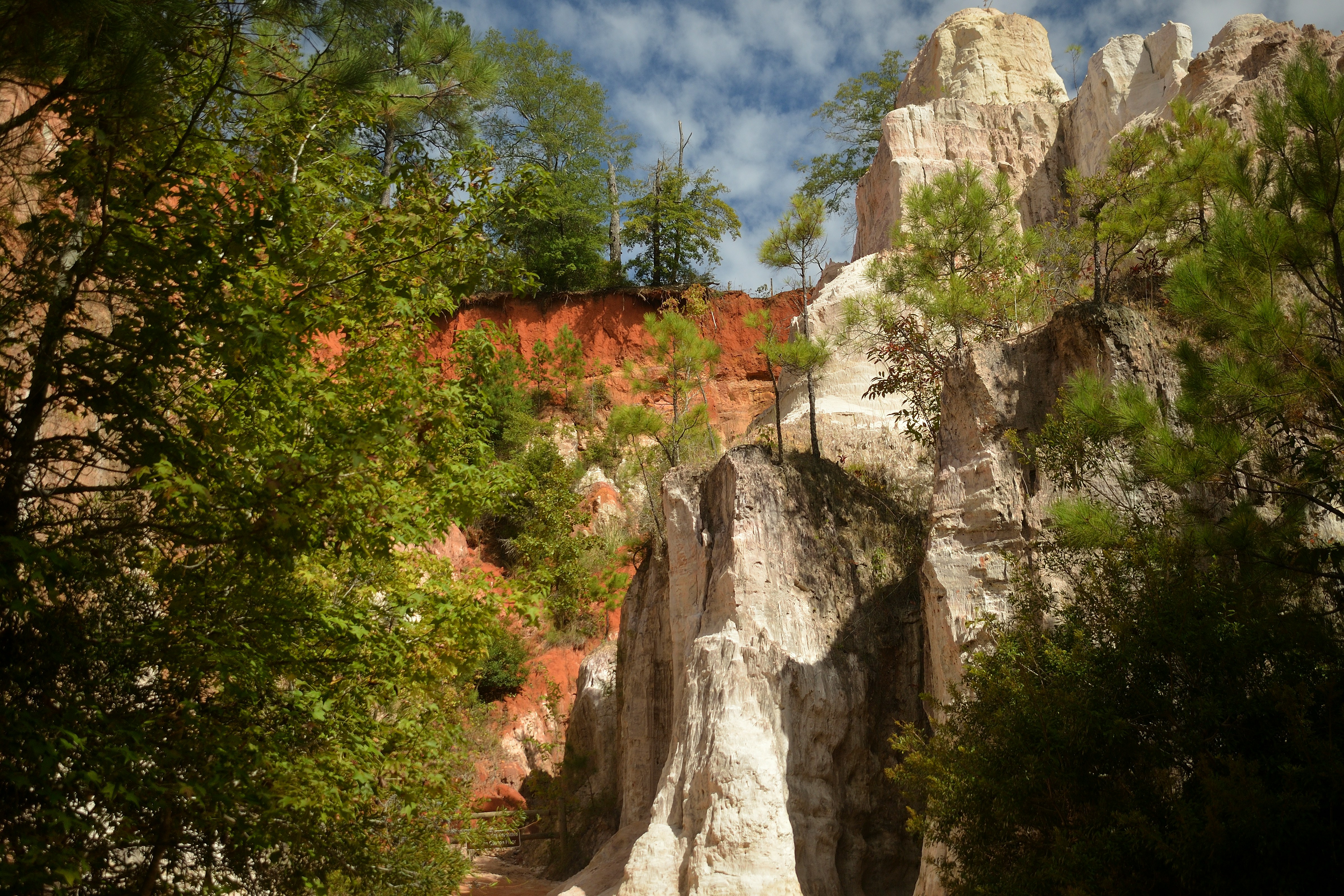 Photo by Sastry Karra with Nikon D800