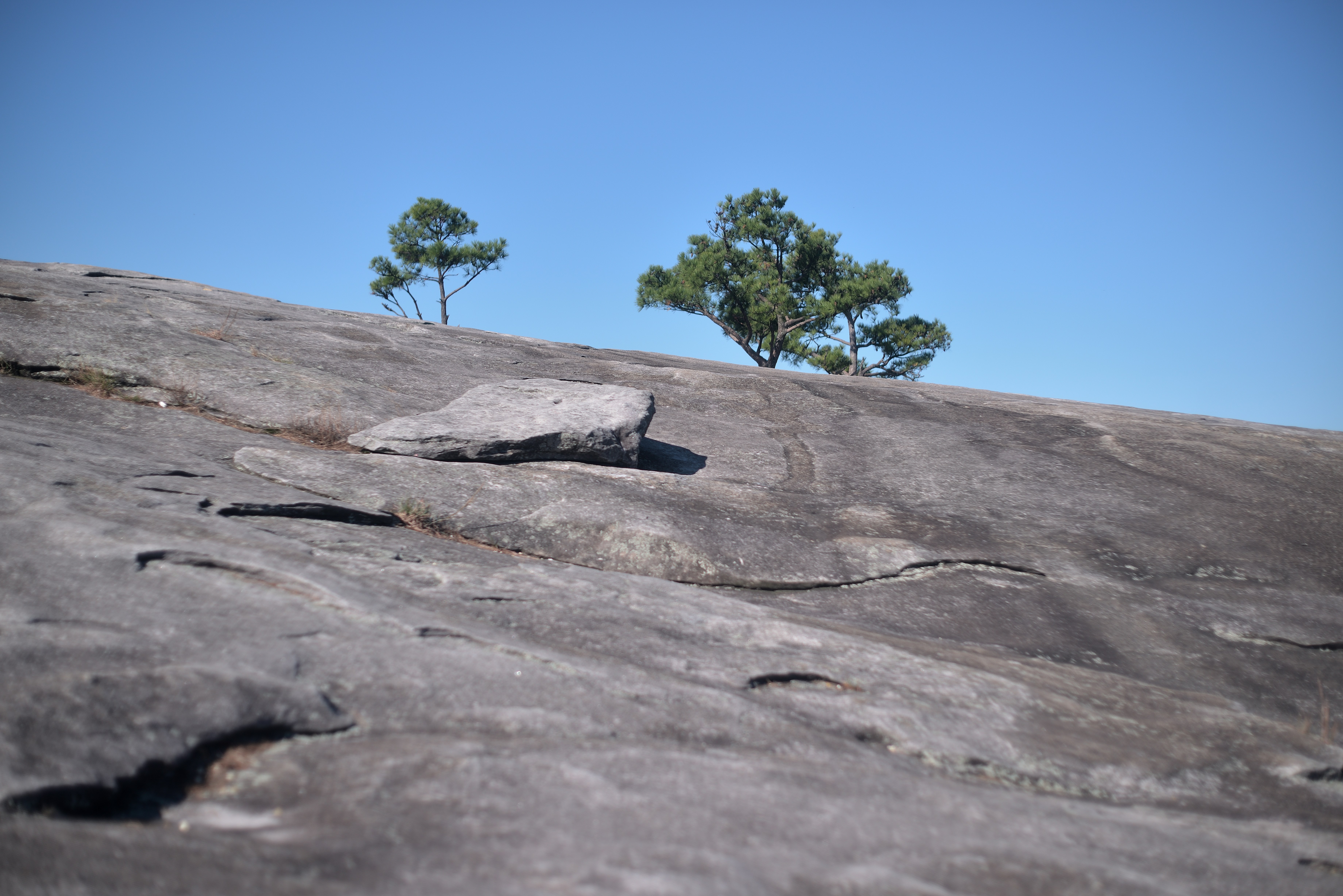 Photo by Sastry Karra with Nikon D800