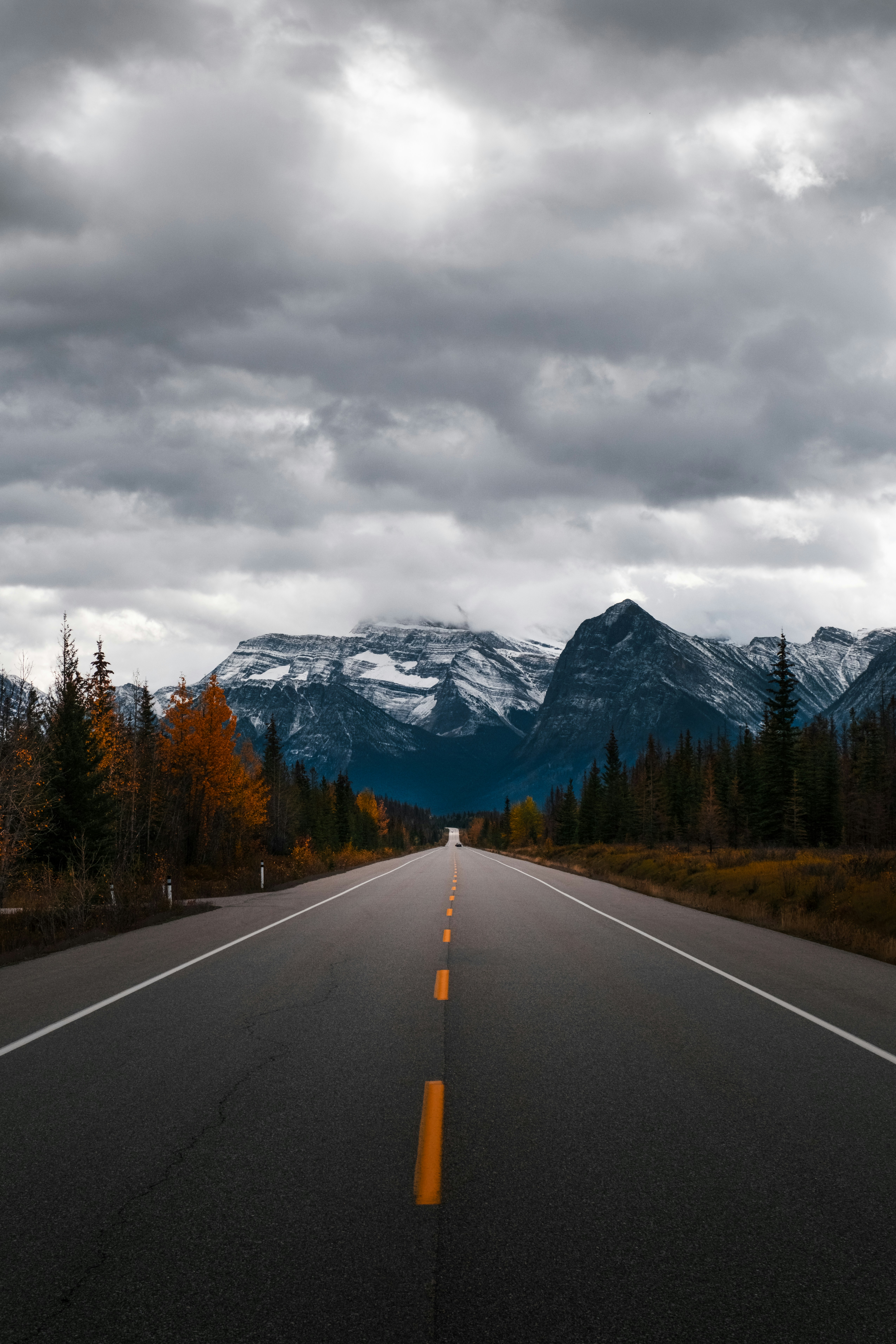 A straight mountain highway slices toward snow-dusted peaks under heavy storm clouds, framed by dark evergreens and pockets of autumn colour — the quintessential moody road-trip scene with powerful leading lines.