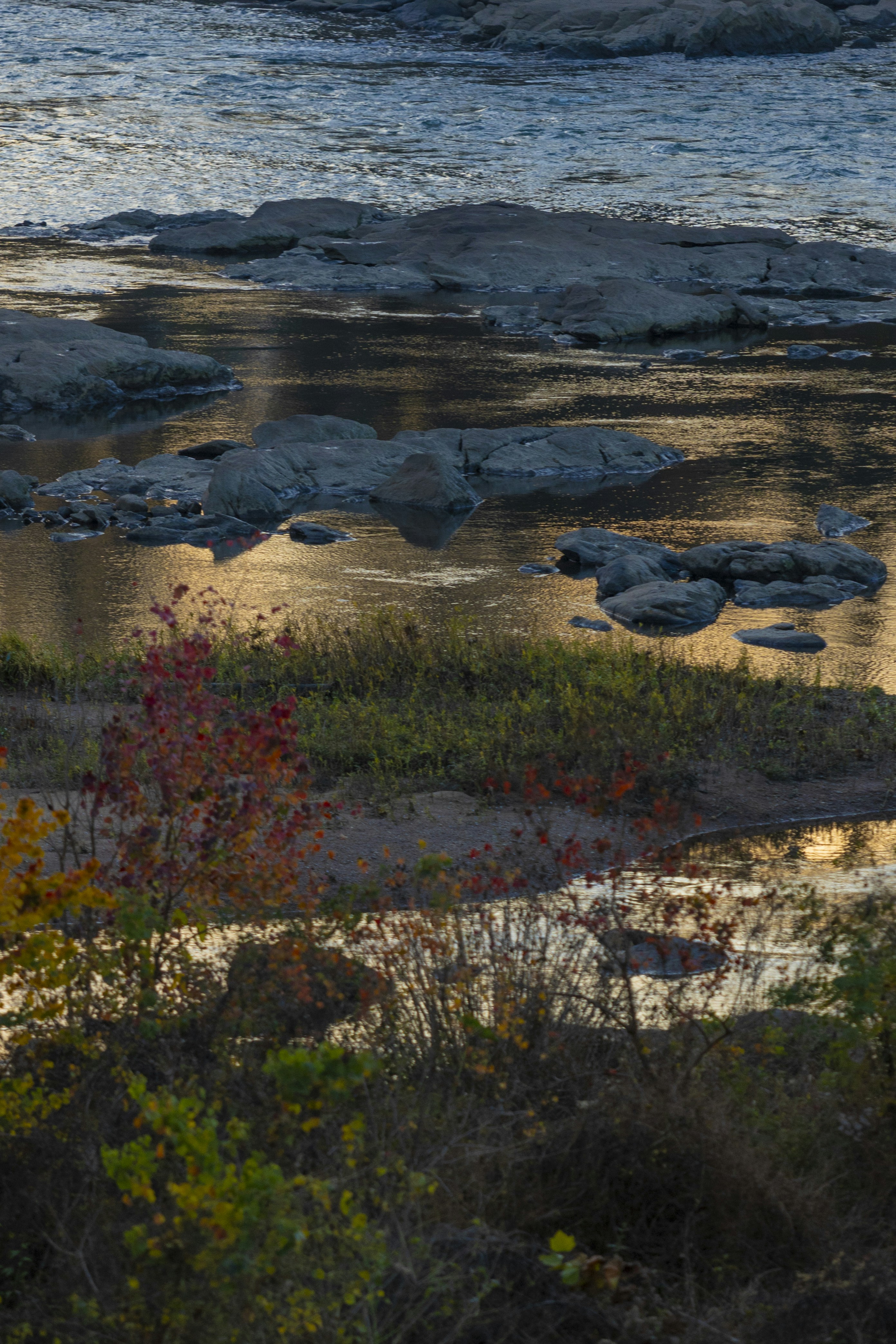 Photo by Kendall Burch with Canon EOS R