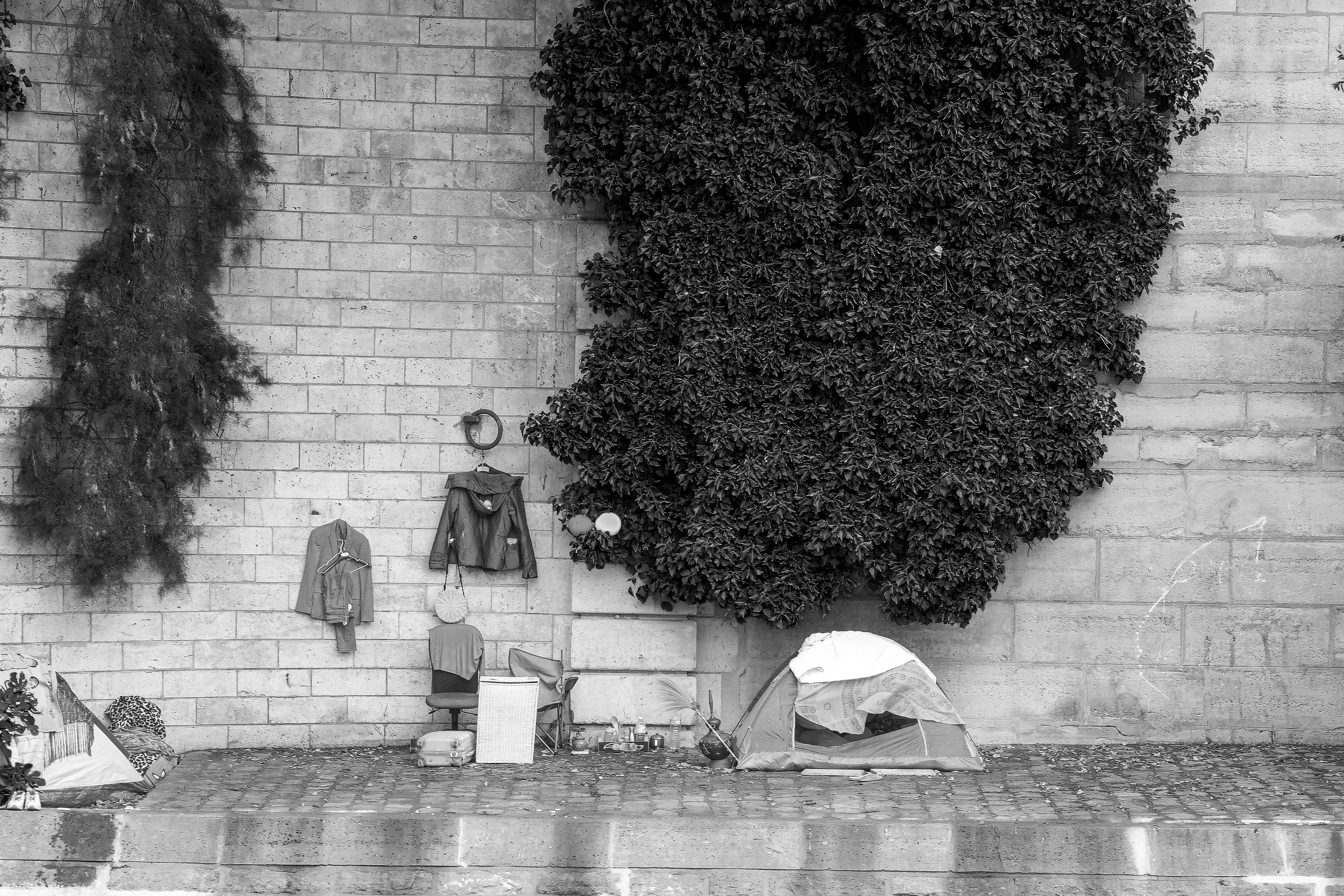 Photo by Markus Kammermann with Sony Alpha 1 II