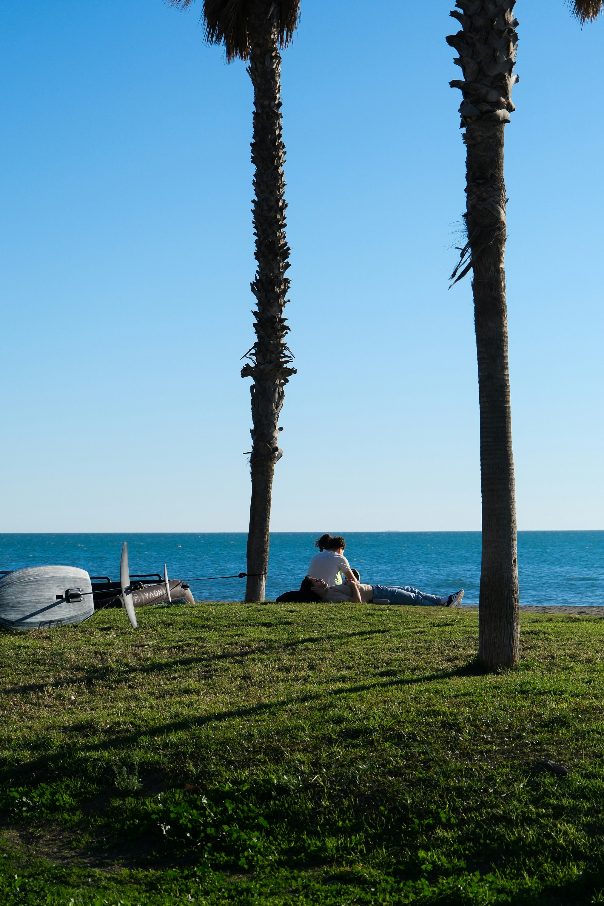 Lovers by the Sea: Quiet Moment Under Two Palms
