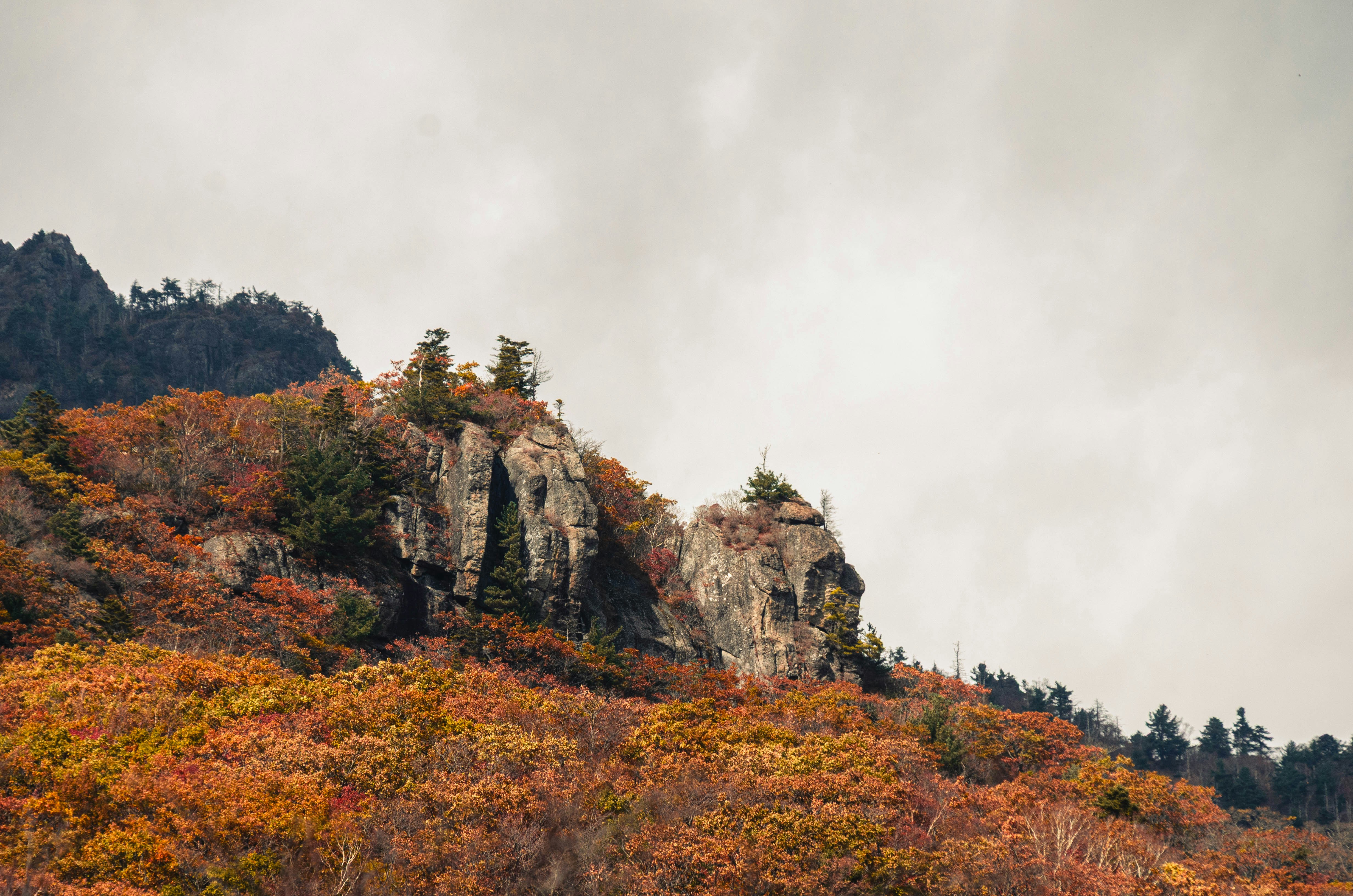 Autumn Cliffside Fortress Cradled in Mist