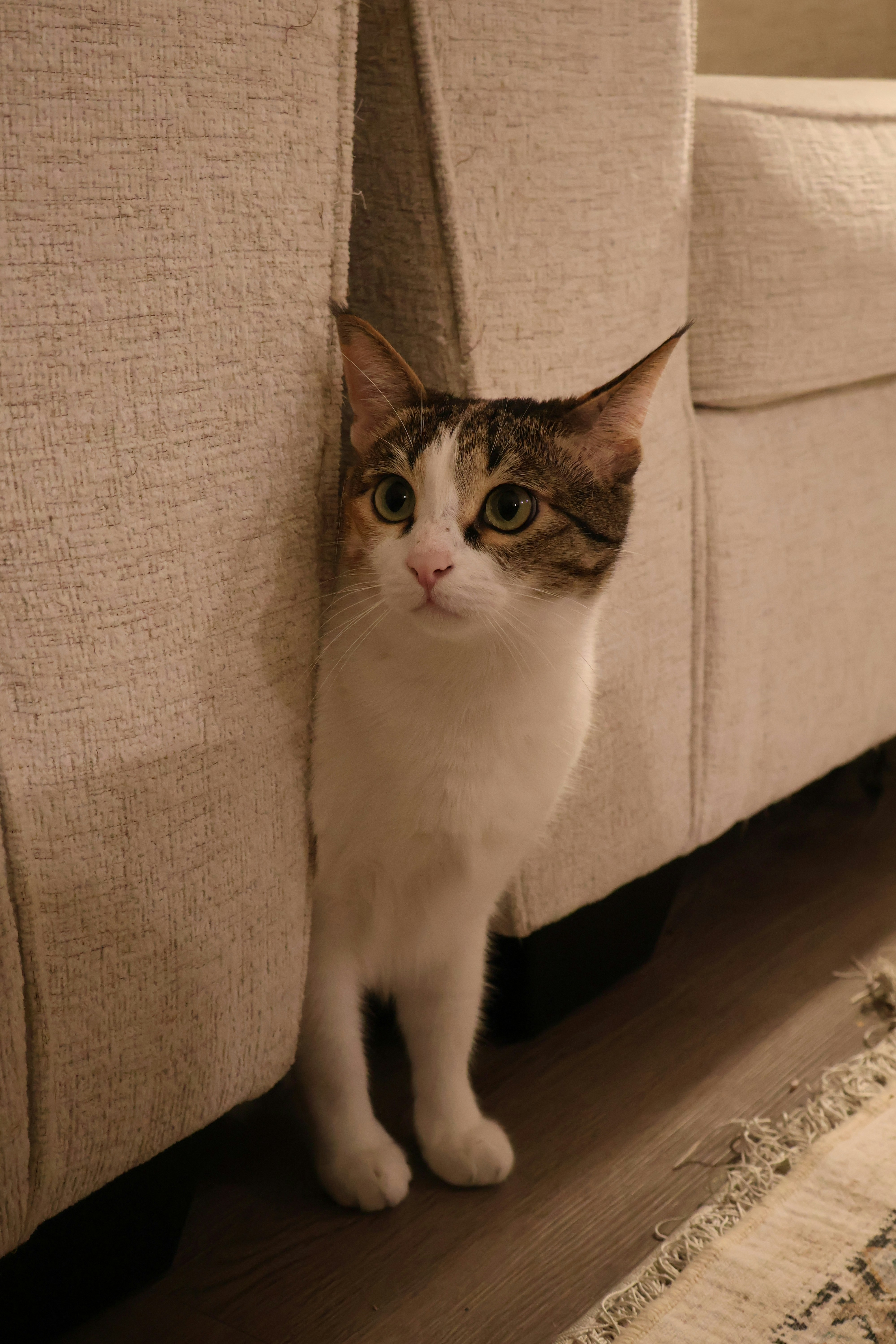 Photo by Sina Neshat with Canon EOS R50