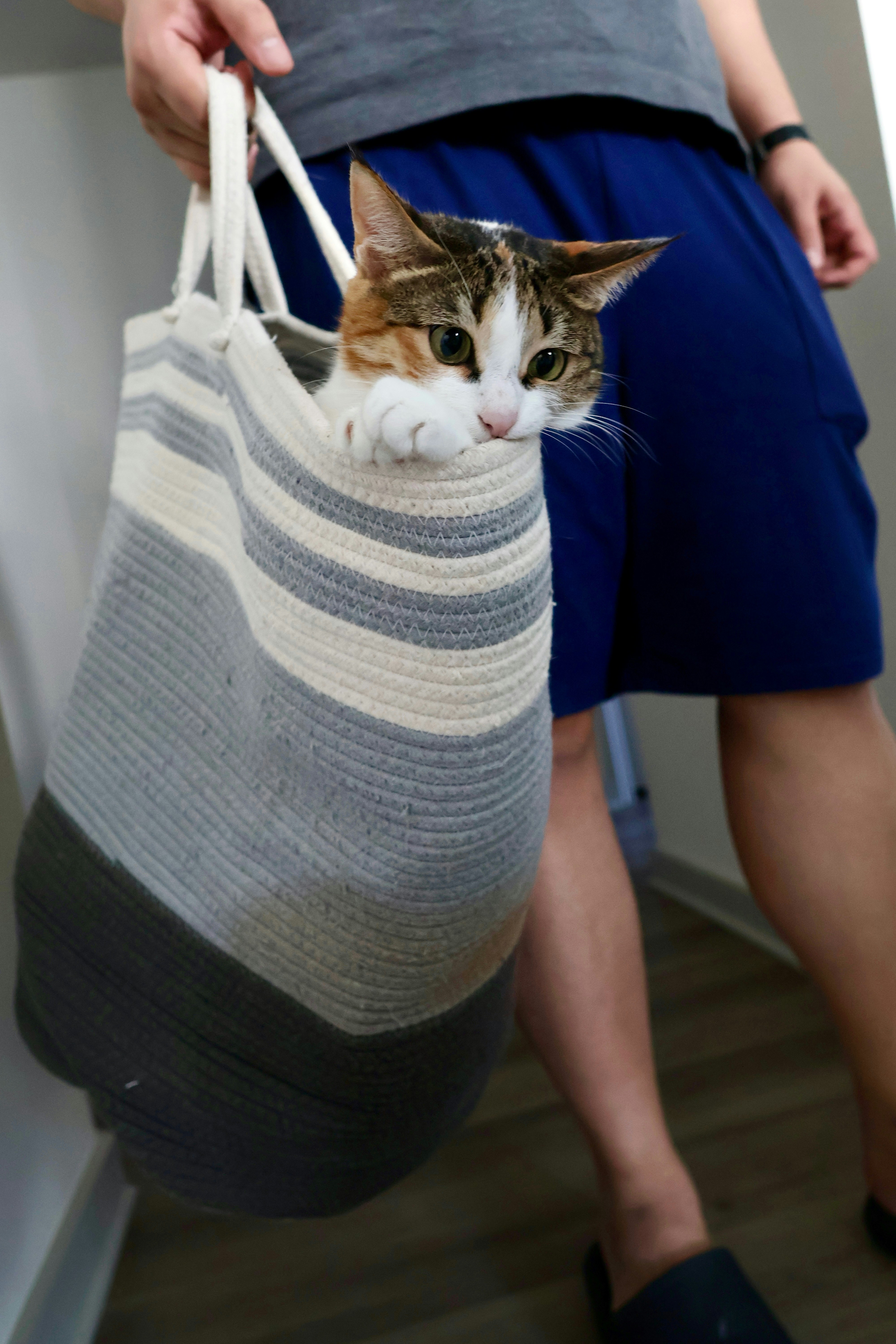 Photo by Sina Neshat with Canon EOS R50