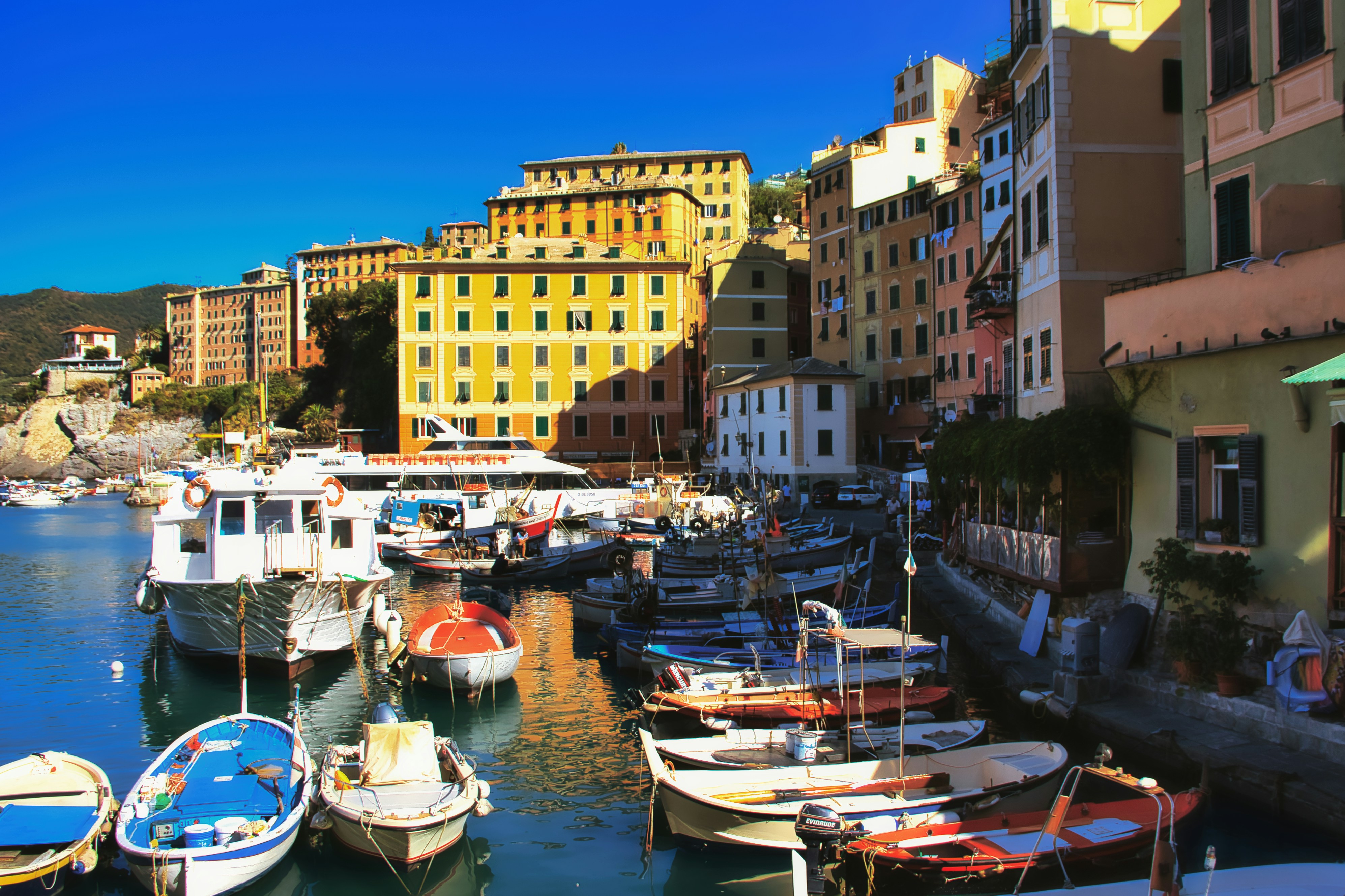 Harbor in Cinque Terre: Sunlit Boats and Colorful Facades