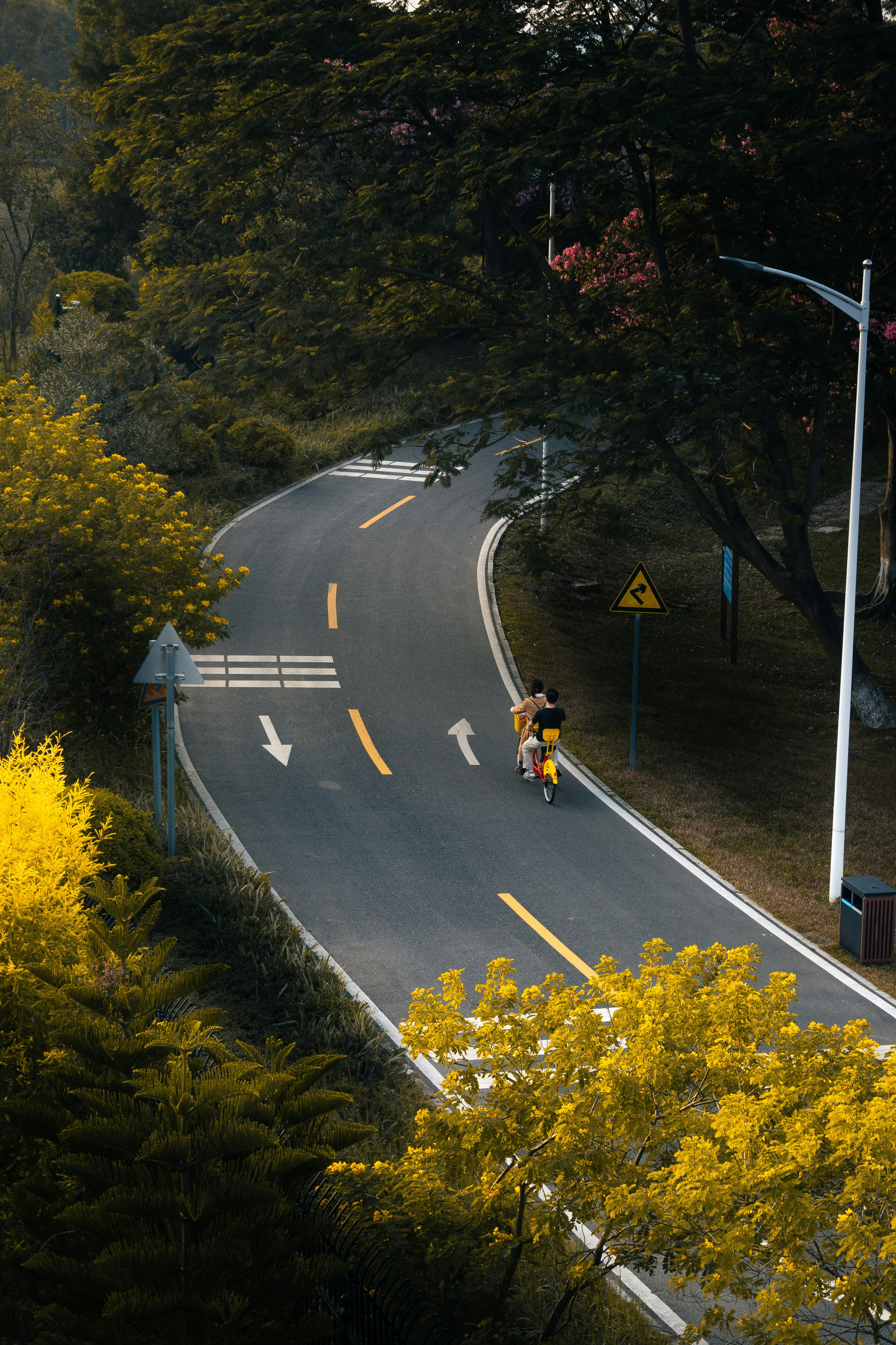 Rural Descent: A Cyclist Navigates a Winding Road Amid Autumn Canopy