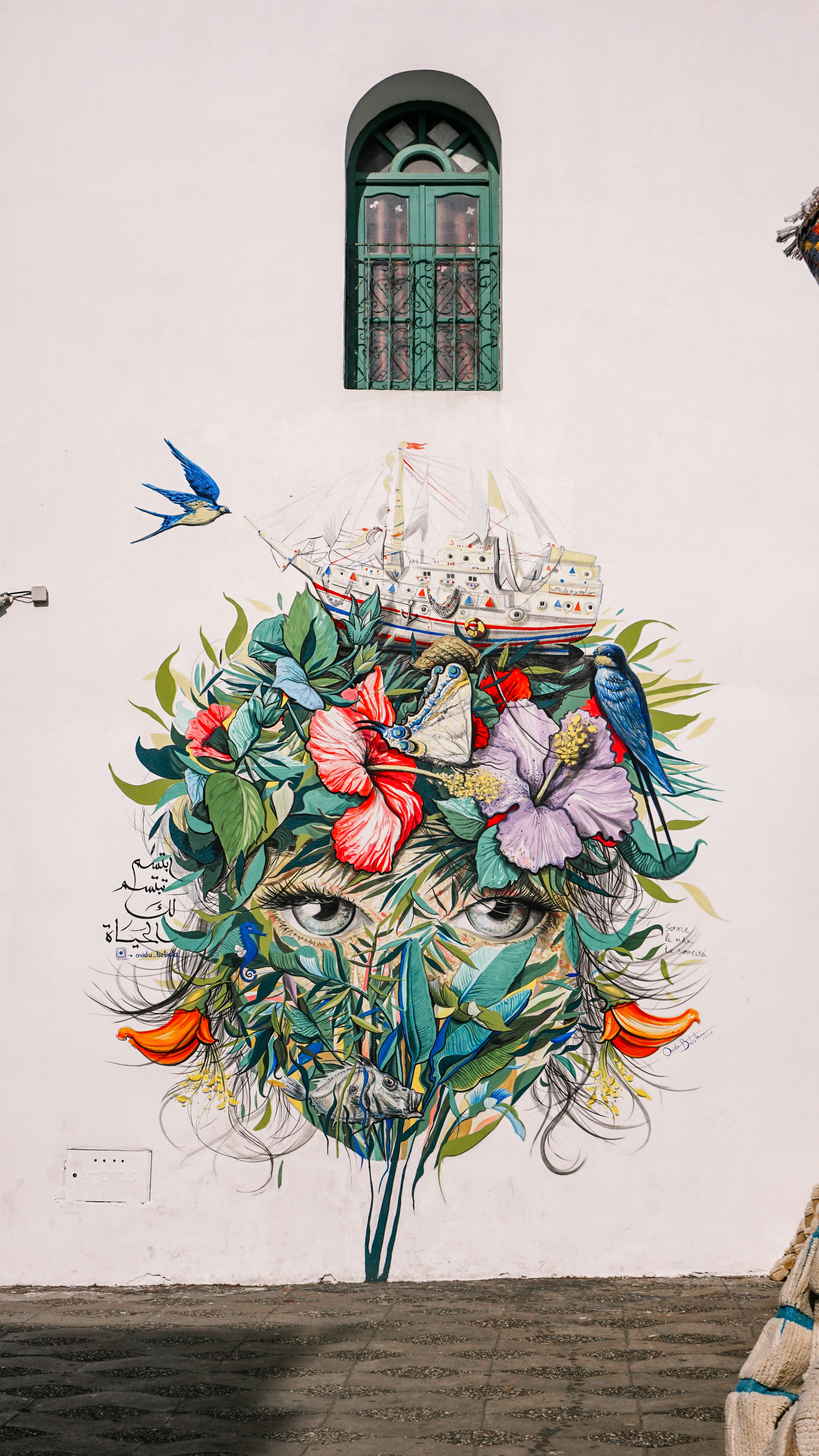 Photo by Mohamed Abira with Sony Alpha 6000