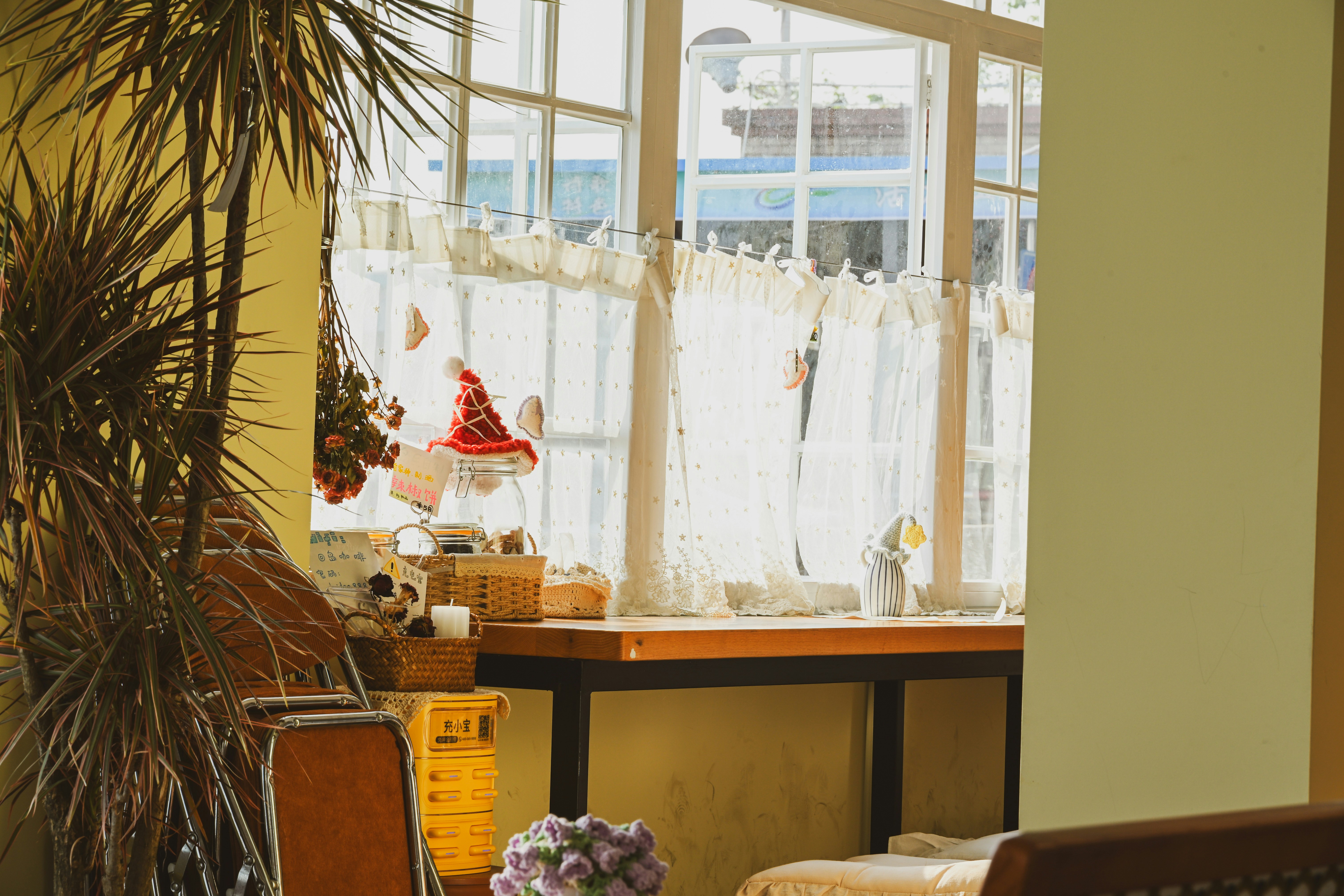 Photo by angus chow with Nikon Zf