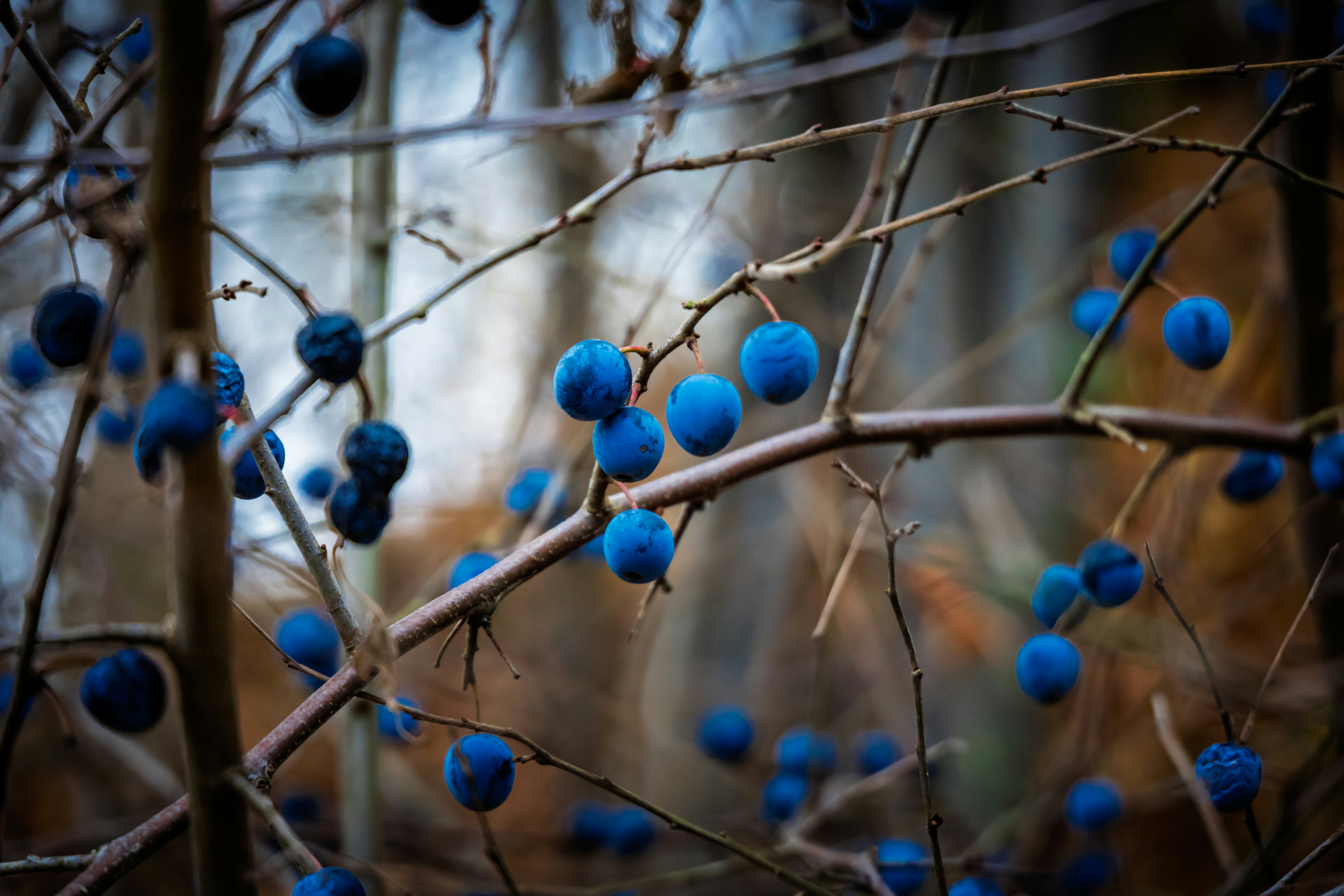 Photo by Sergej Karpow with Panasonic Lumix S5 II