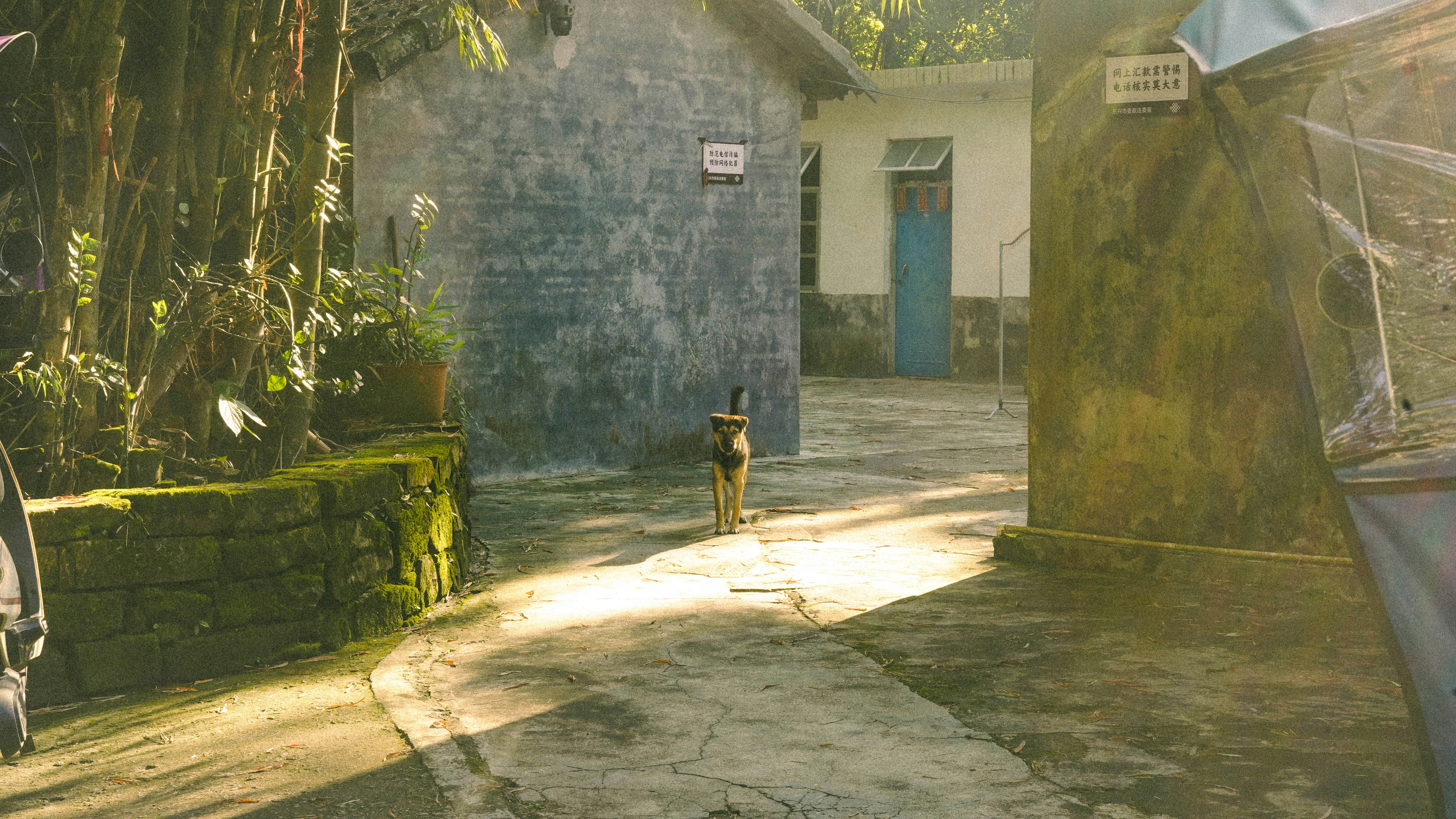 Photo by Nhung Le with Sony Alpha 7 III