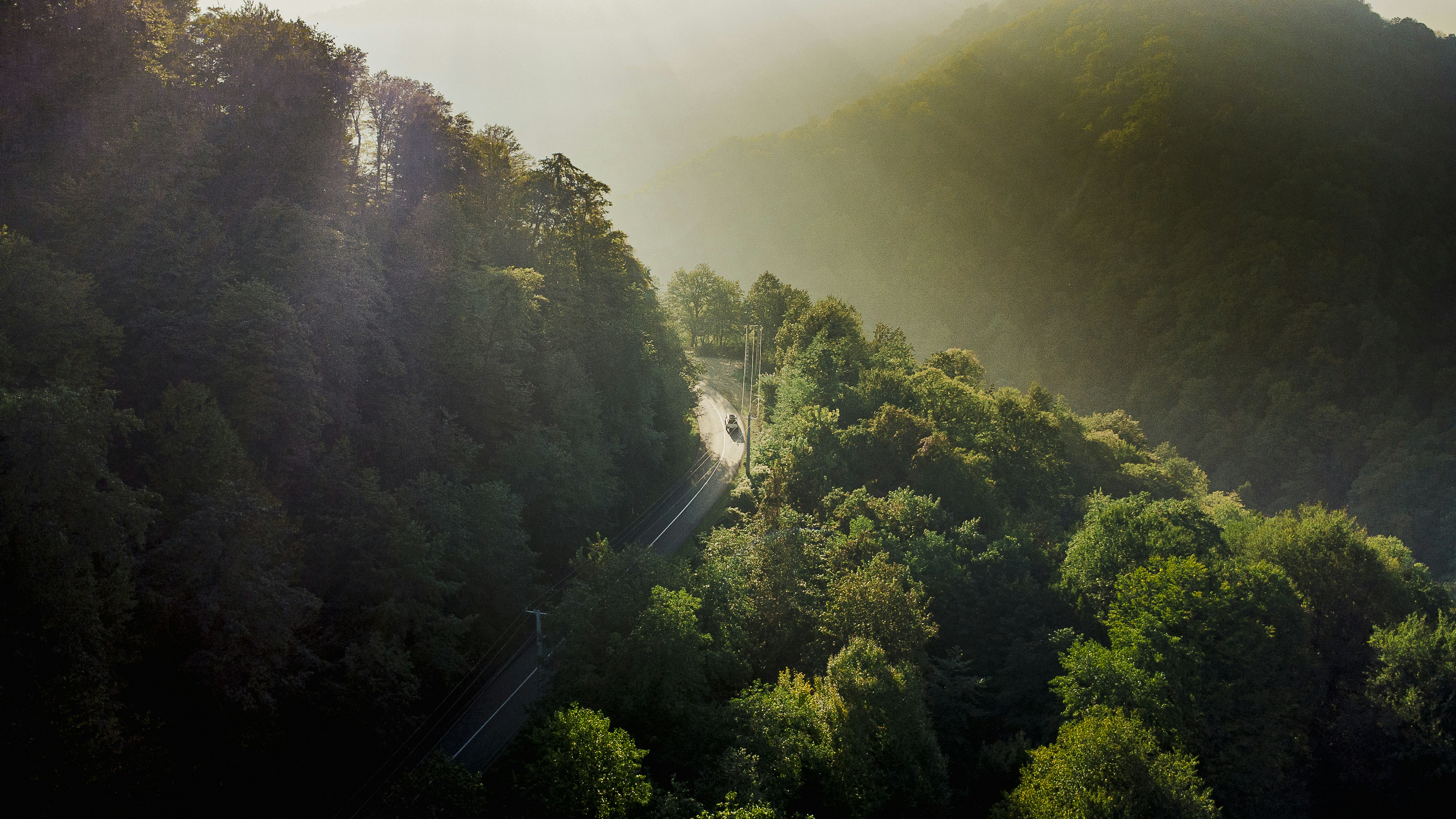 Road and car in the middle of the forest