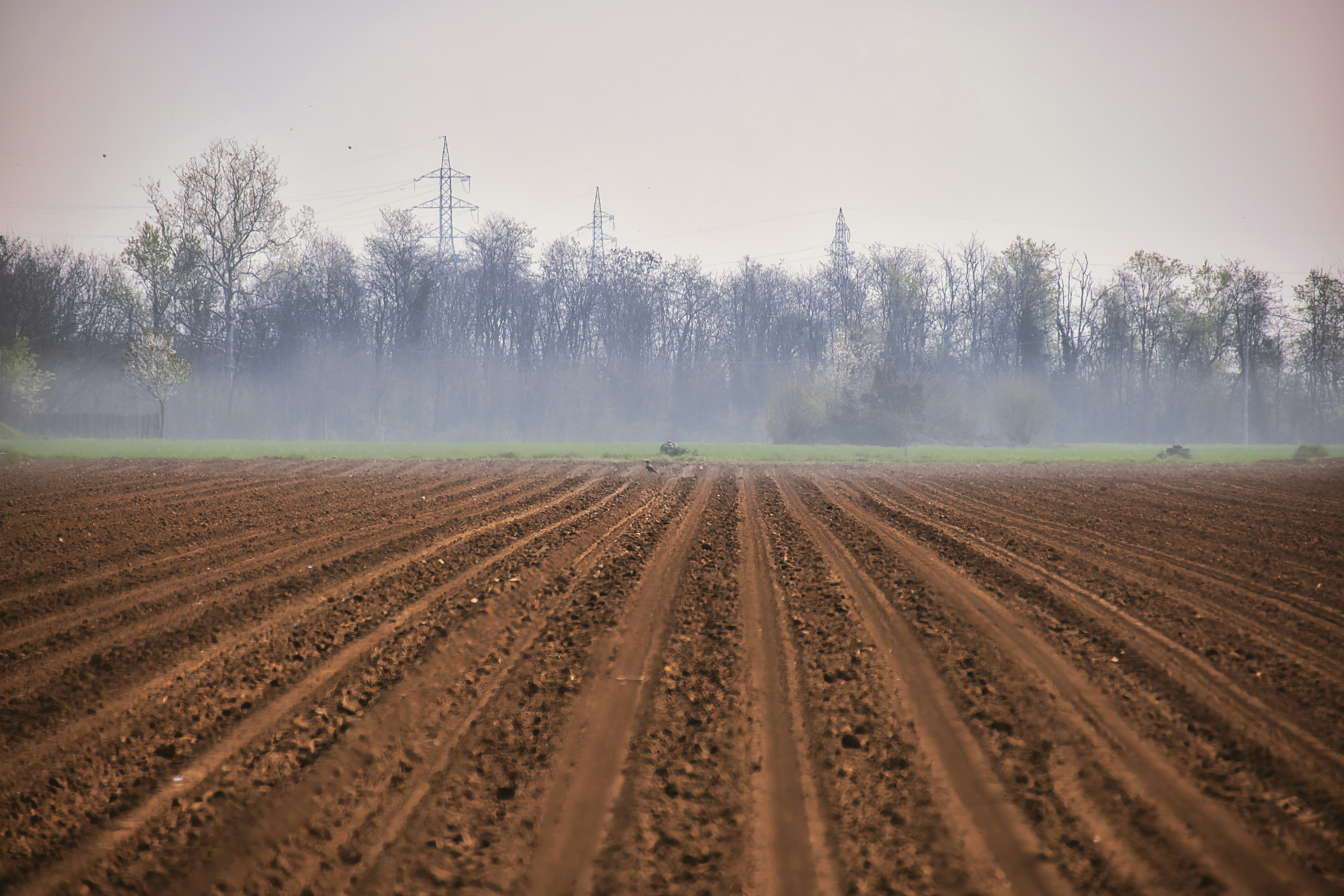 Straight Furrows Under a Misty Horizon