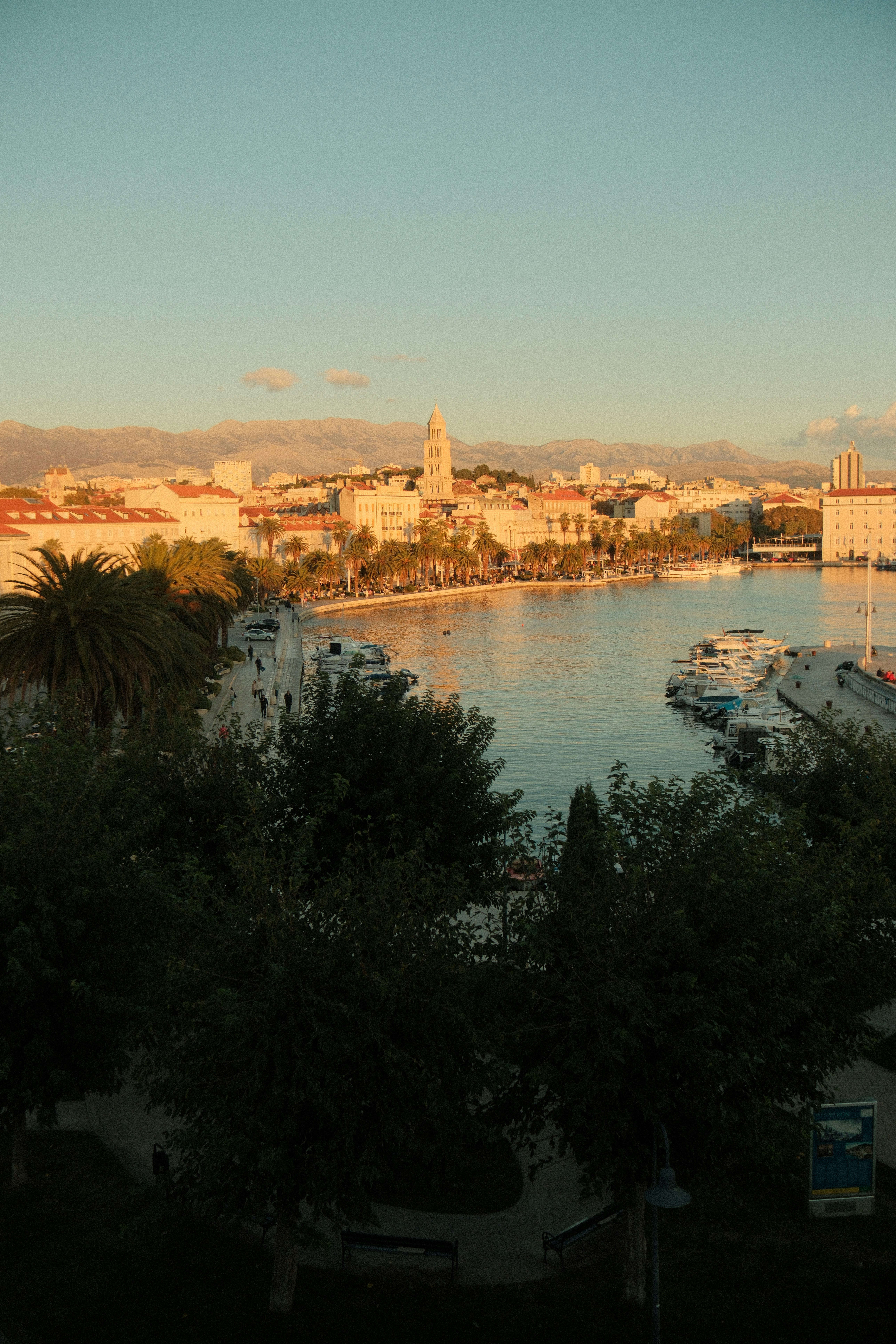 Harbor Panorama at Golden Hour: Cityscape, Boats and Palm Shade