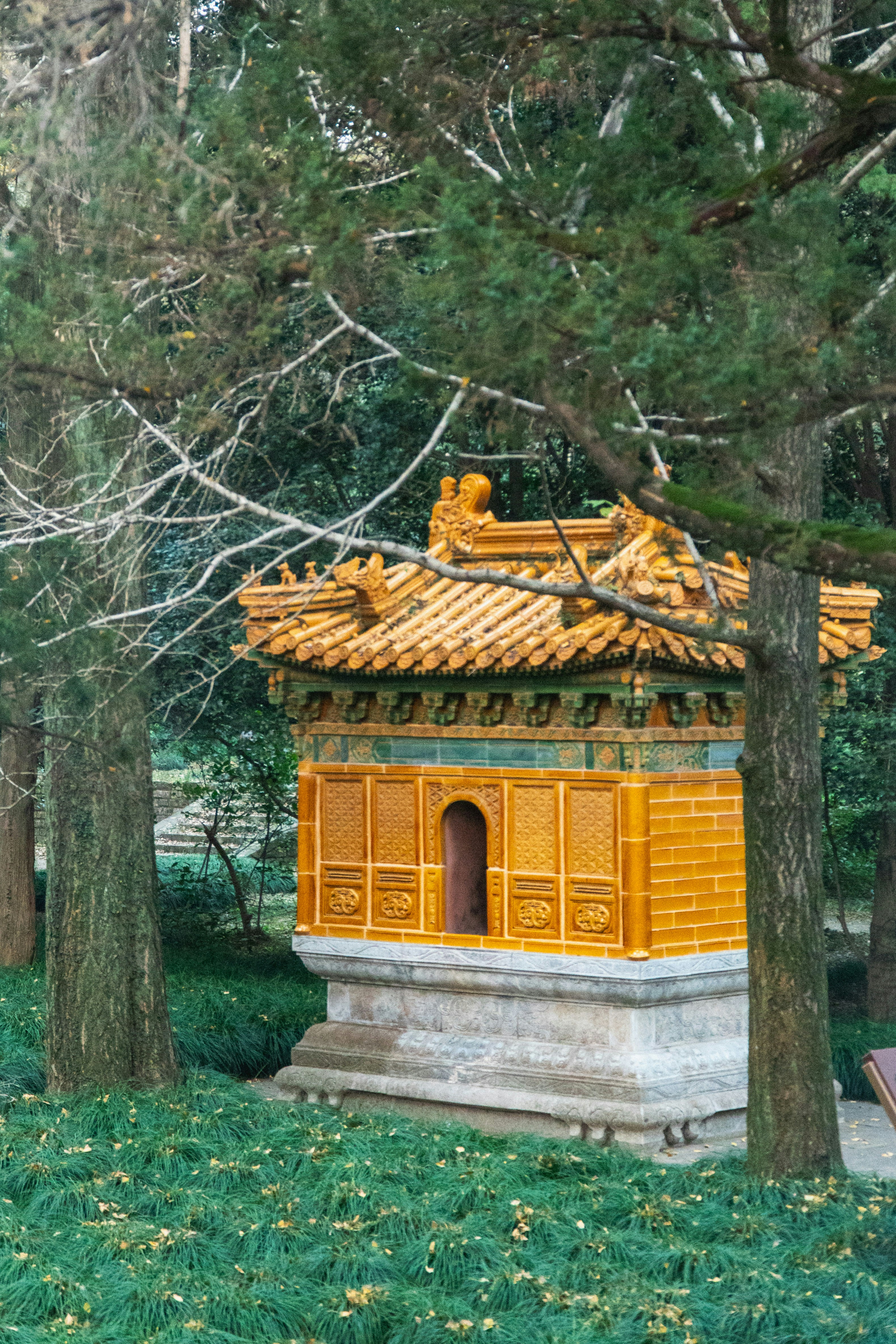 Photo by Sanna Xu with Sony Alpha 6300