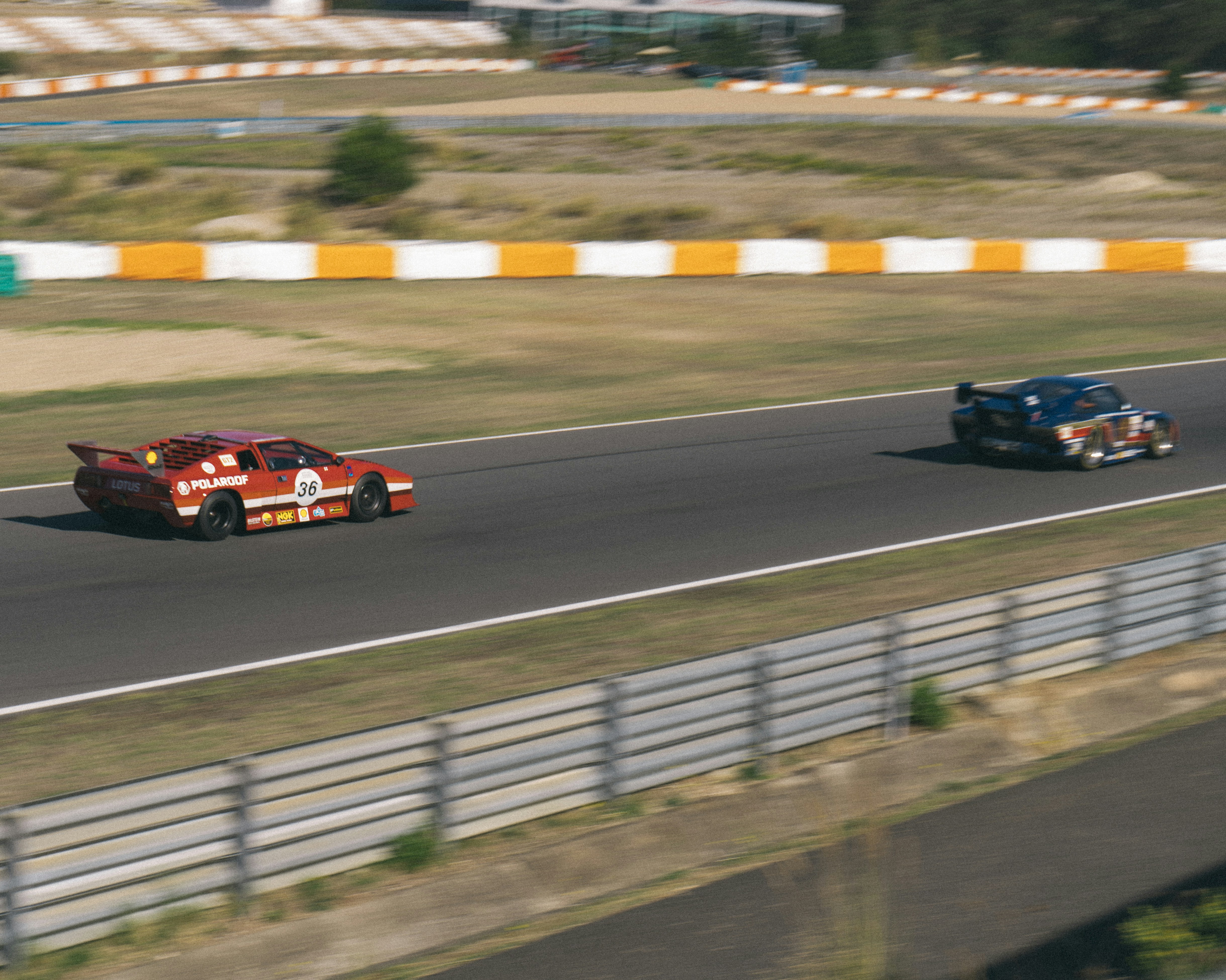 Racing Duet: Red Sprint Leads the Midnight Circuit