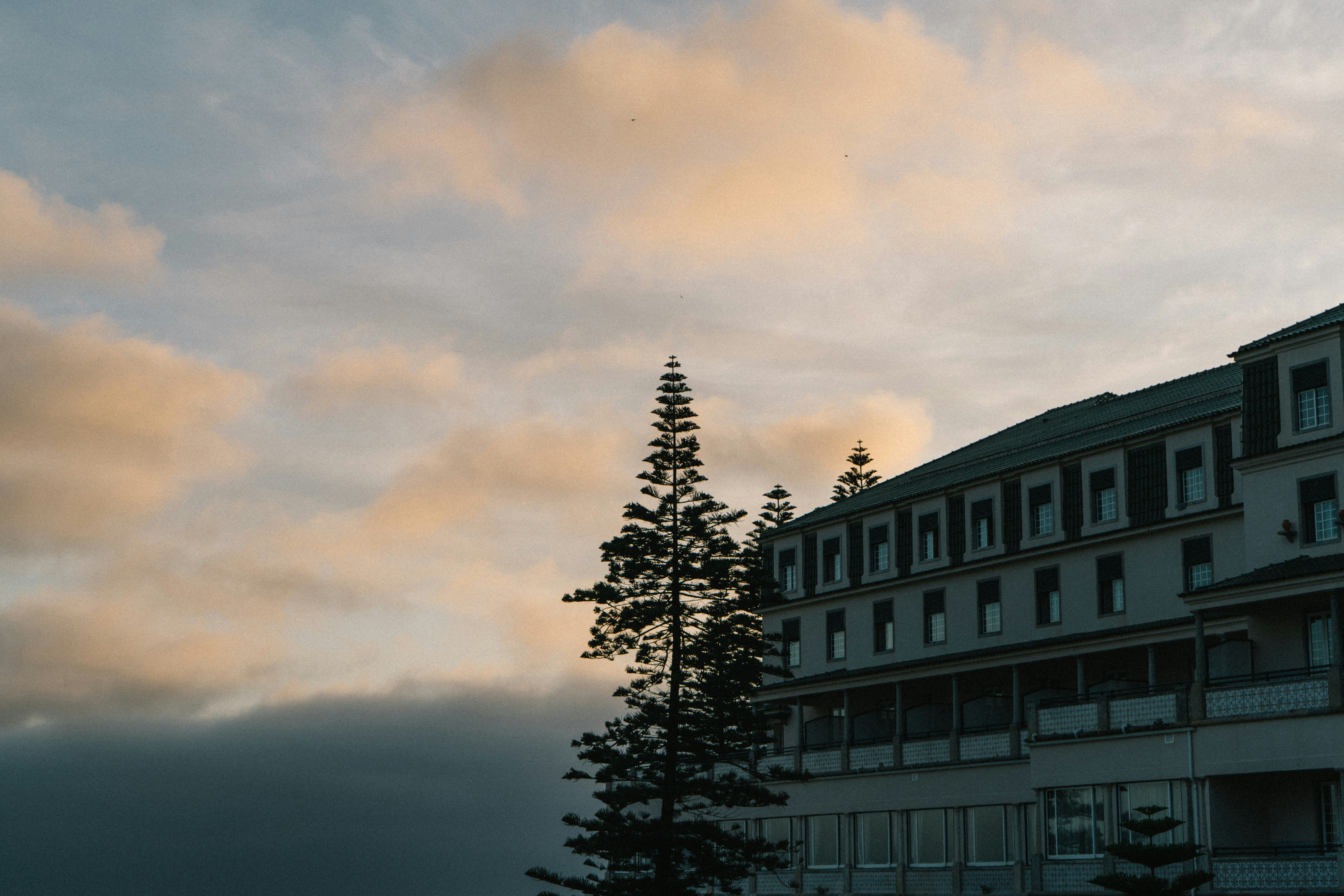 Dusk Overlook: A Corner of Quiet Hotels and Silent Pines