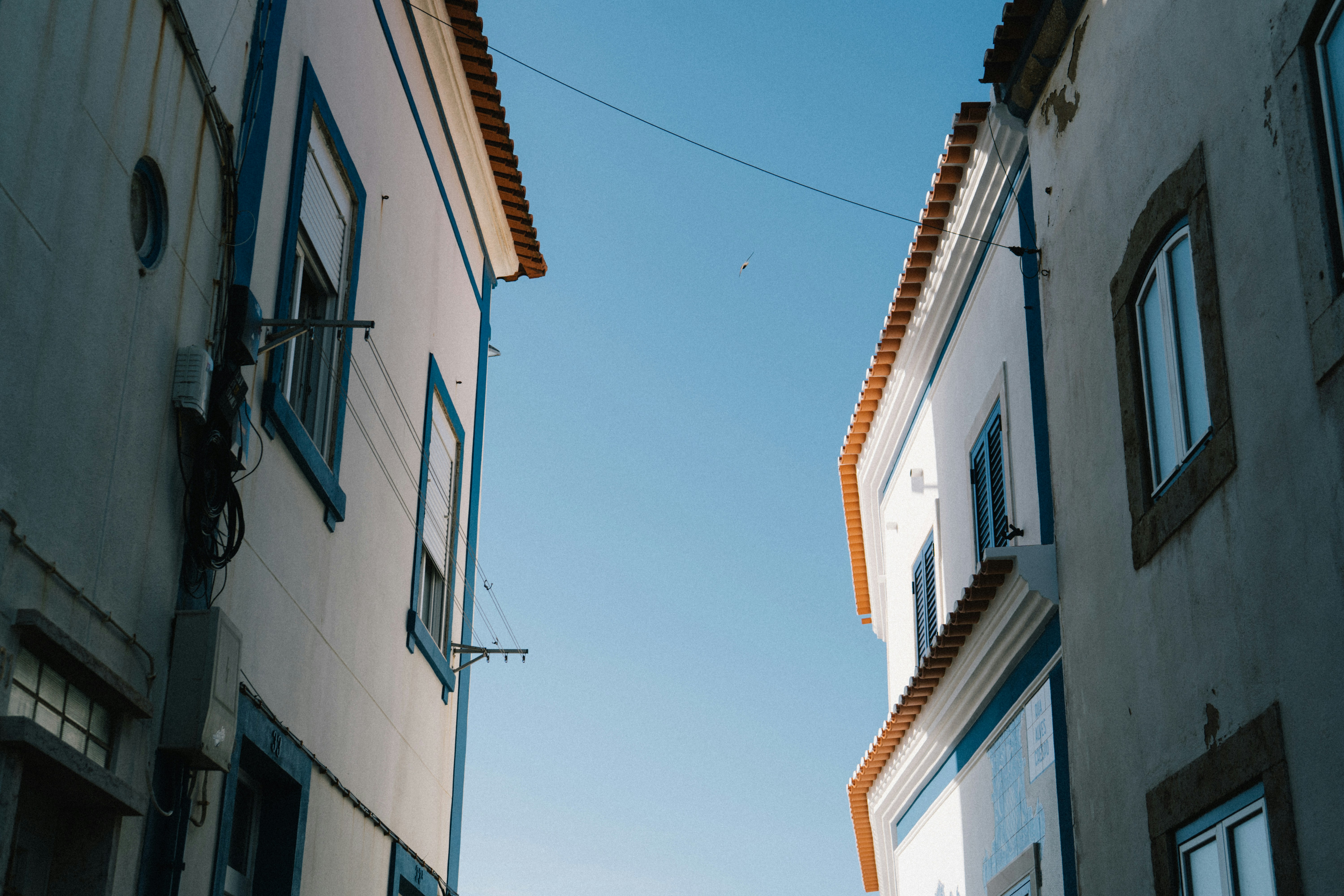 Photo by Edgar with Sony Alpha 7 III