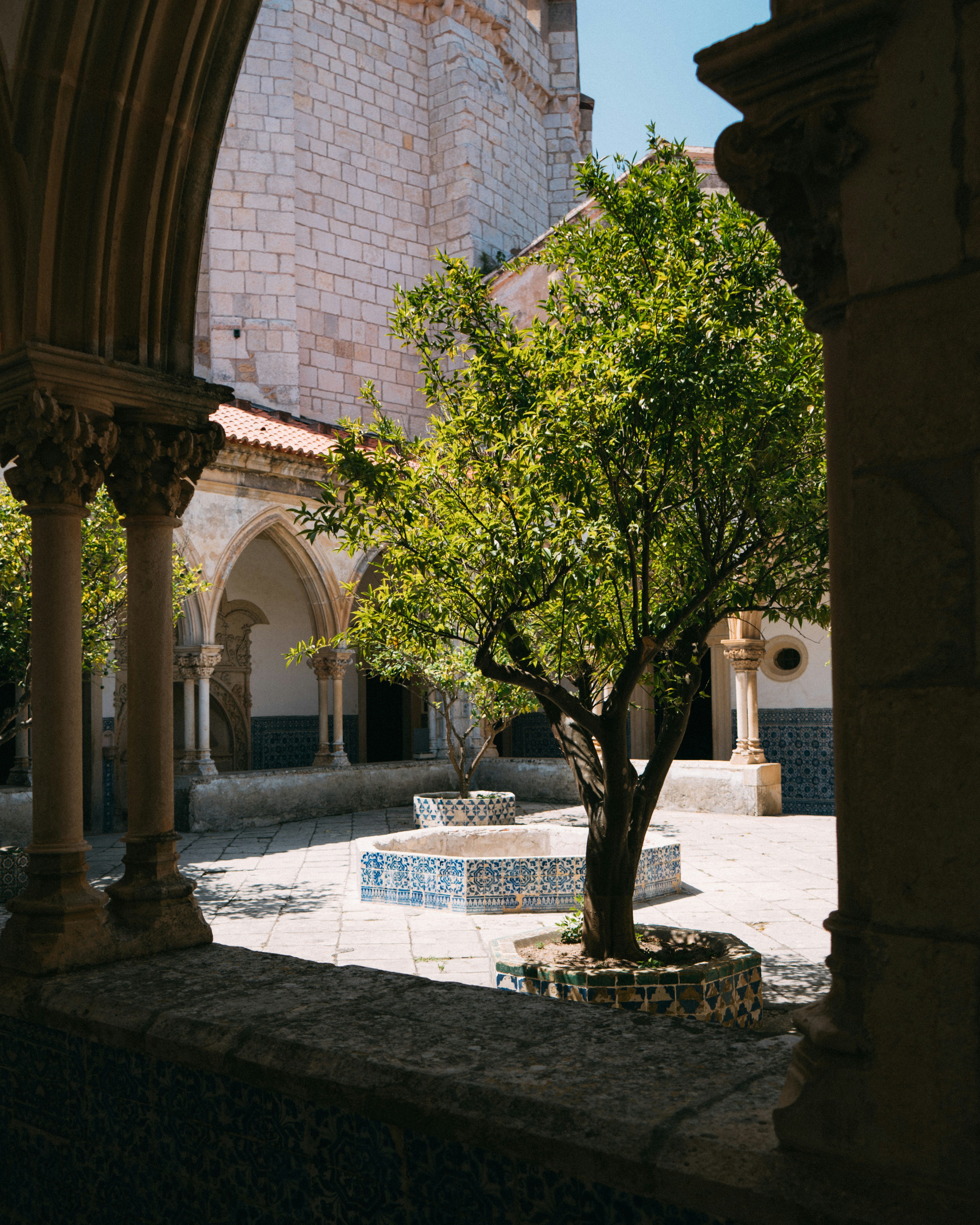 Photo by Edgar with Sony Alpha 7 III