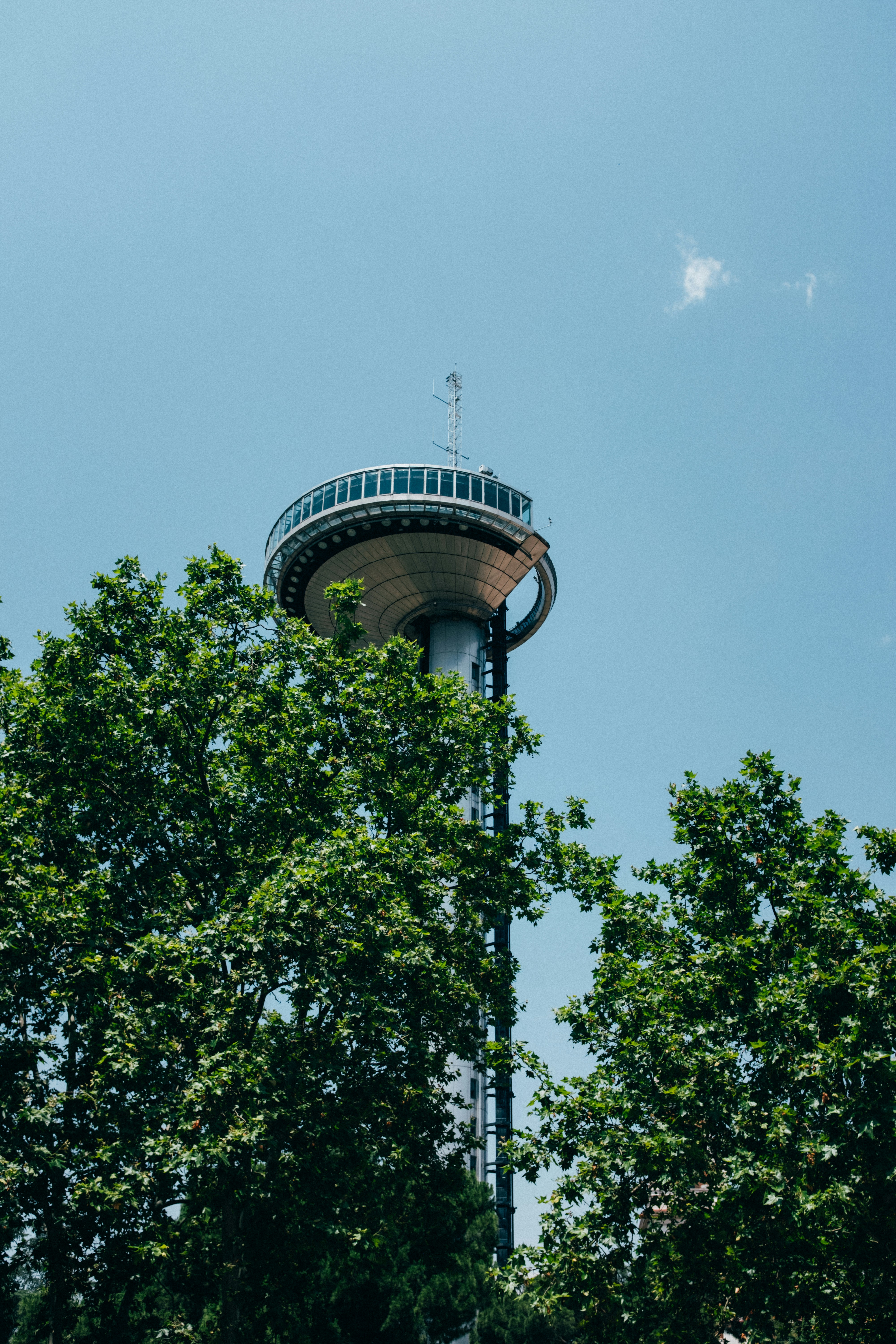 Skyward Watchtower Rising Through the Green Veil