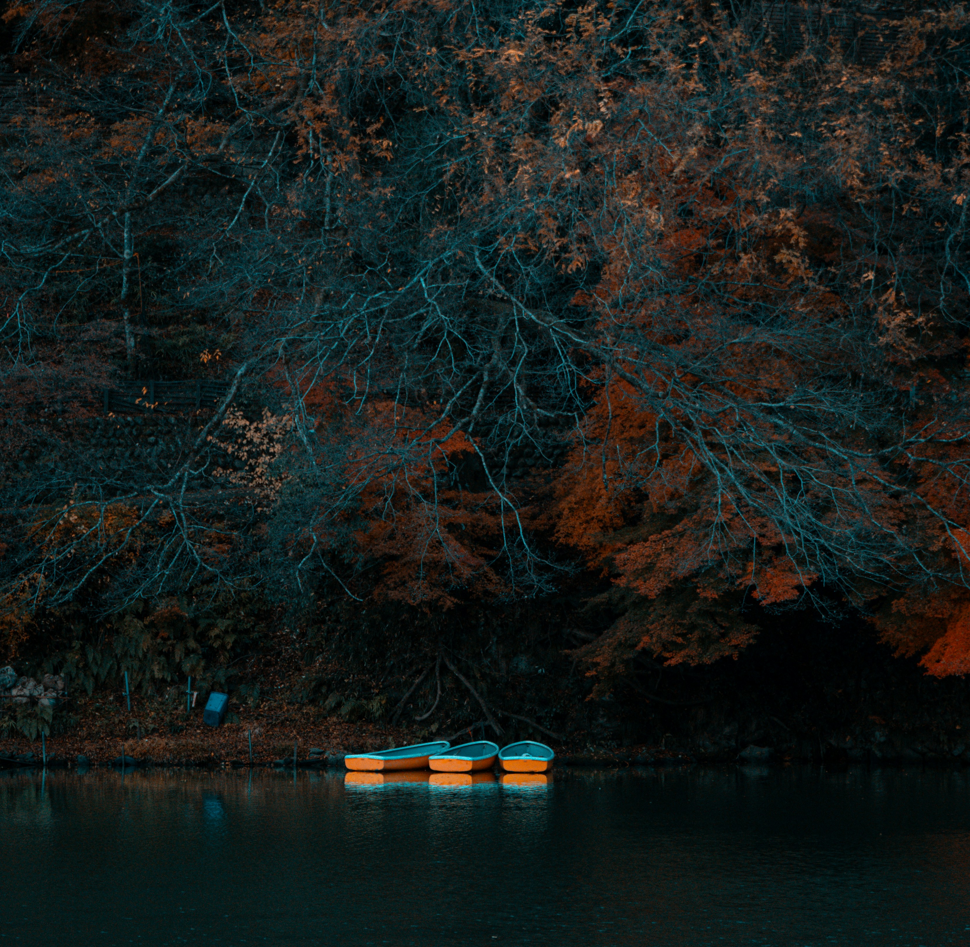 Midnight Boats: A Quiet Distant Hue on the River