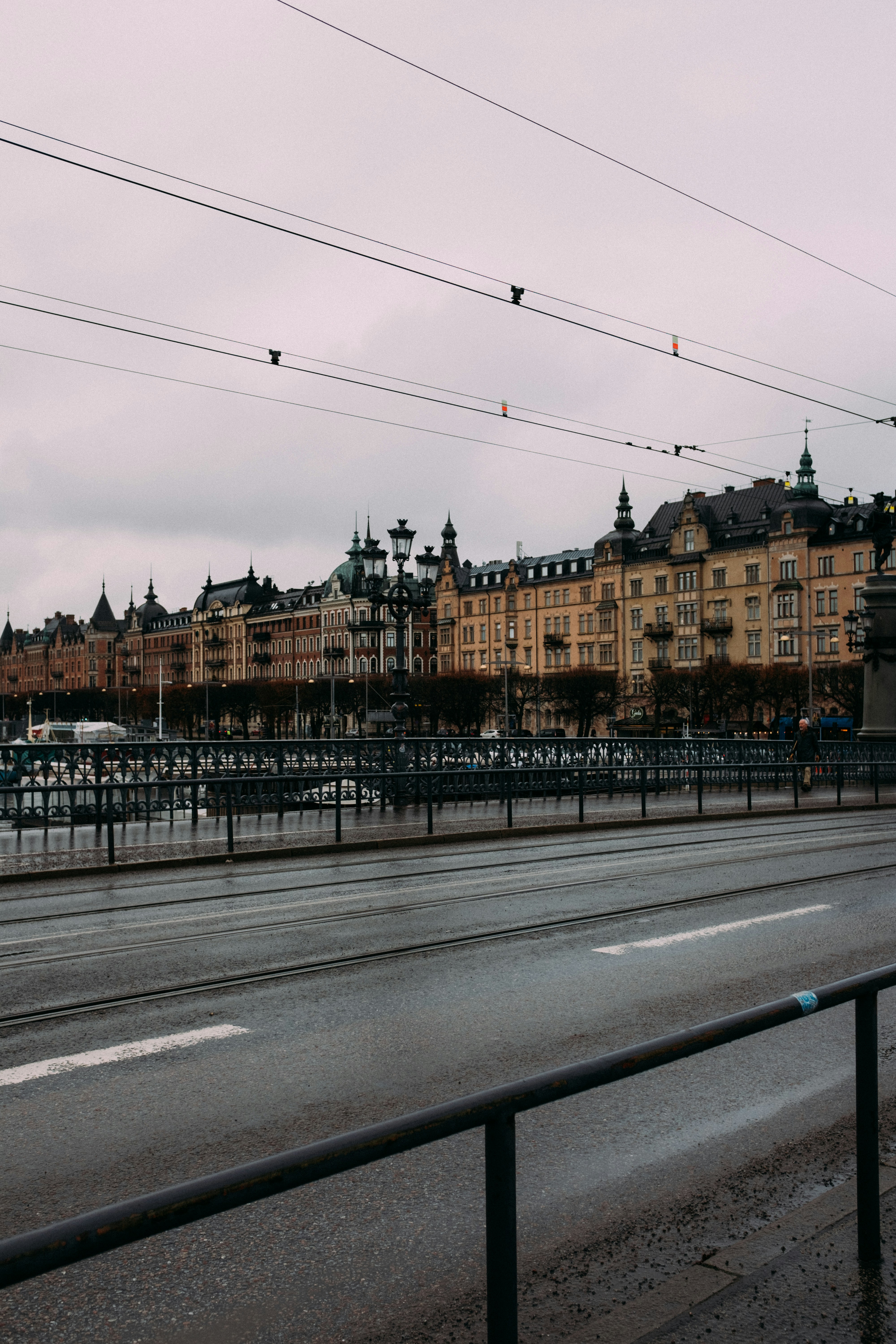 Cityscape on a Wet Avenue: Tram Wires Diagonally Spanning a Row of Historic Buildings
