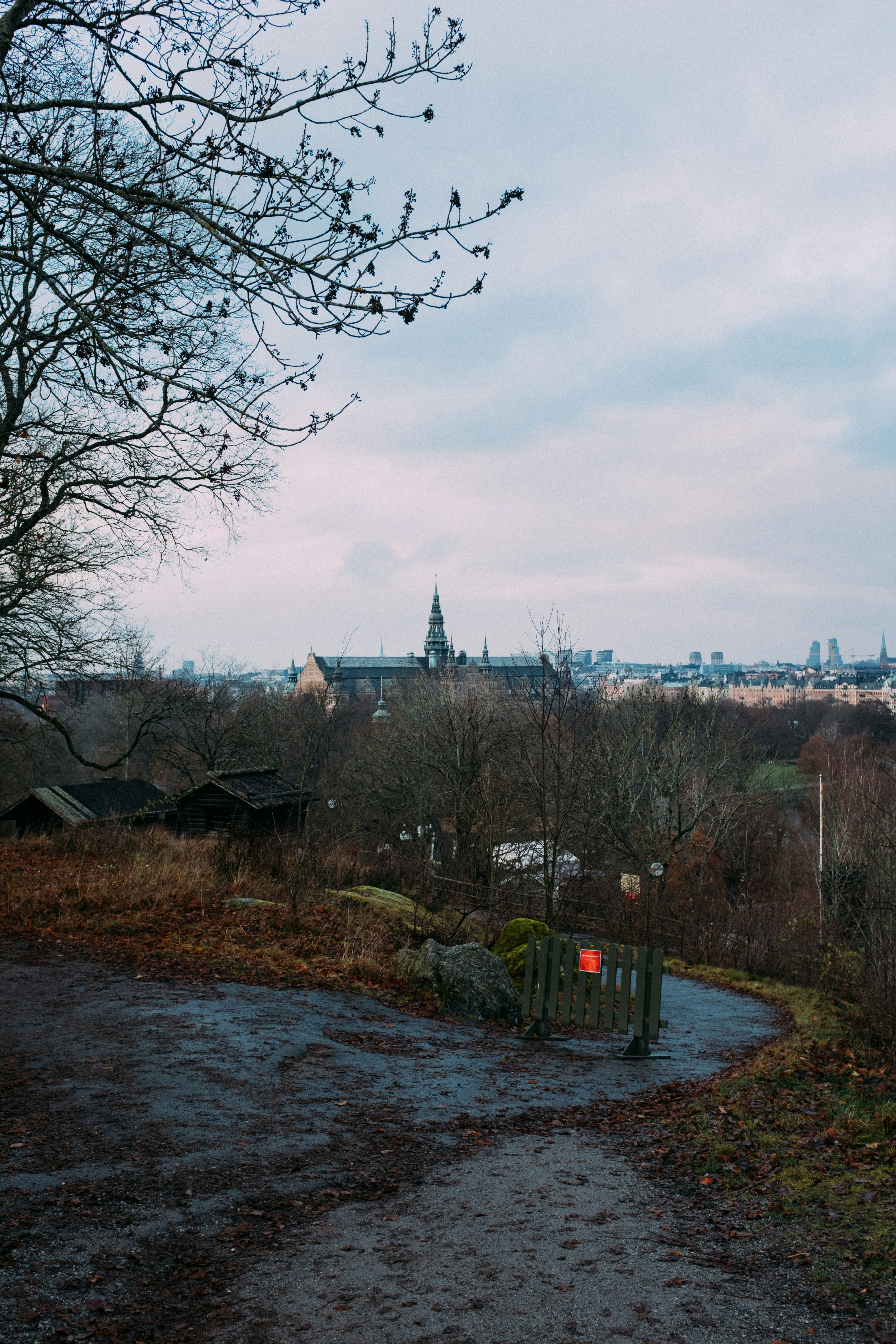Urban Vista from a Dirt Path: City Silhouette Beyond Winter Branches