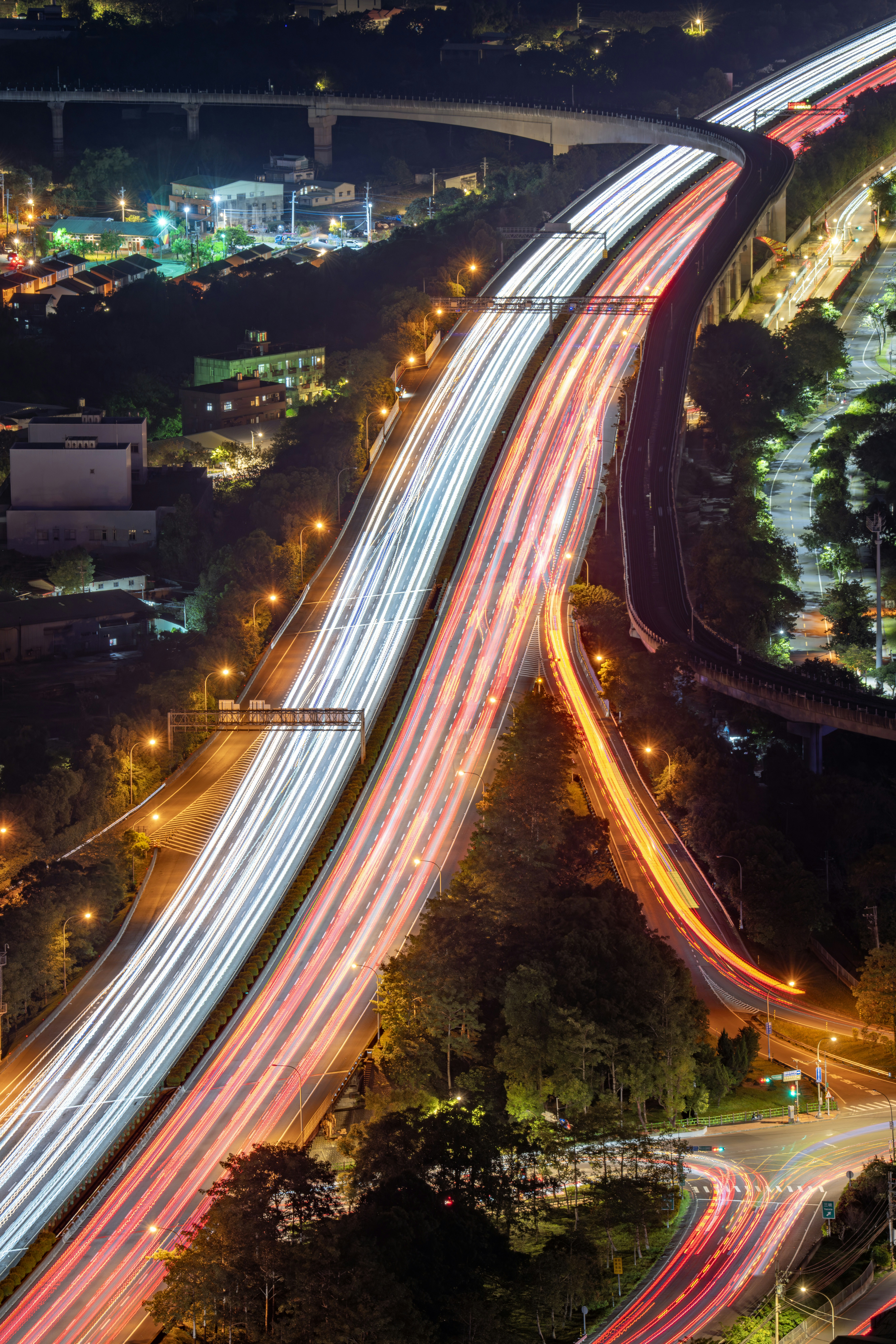 Photo by Timo Volz with Sony Alpha 1 II