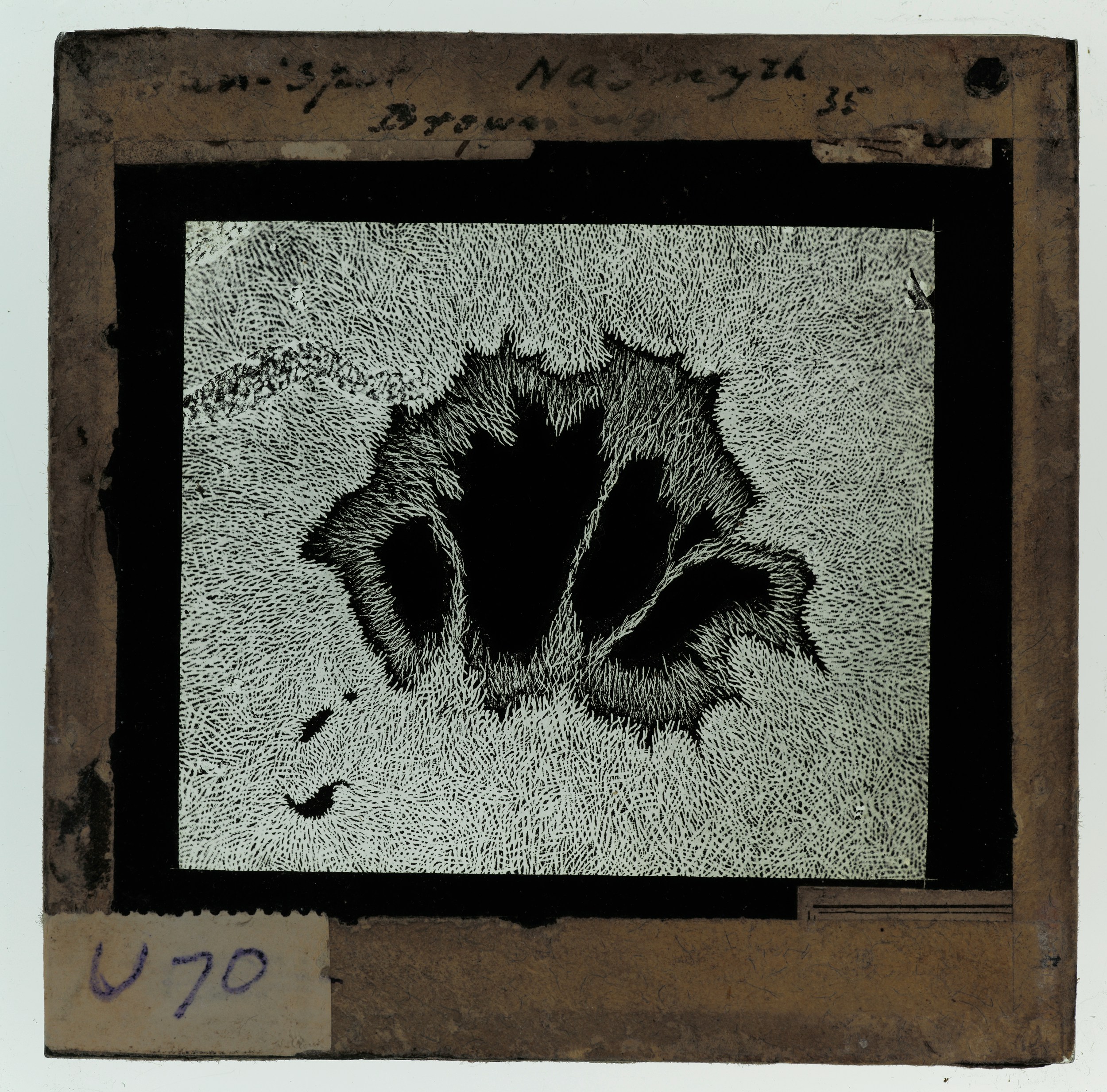 Dense, textured abstract print framed in a brown border, featuring a central dark shape surrounded by a stippled field and irregular edges. Likely a monochrome artwork or negative-positive study.