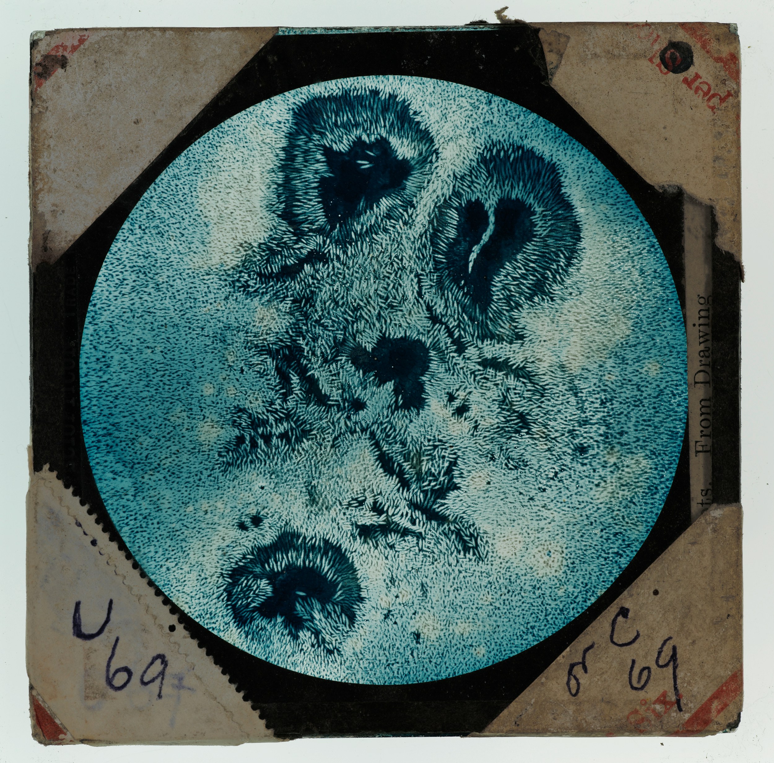 A lantern slide produced by Clement Lindley Wragge (b.1852, d.1922), date unknown. The slide shows the circular image of 3-4 dark masses on a textured blue/green surface. Shared by Auckland War Memorial Museum, Tāmaki Paenga Hira, as part of the Clement Lindley Wragge collection. 236027|PH-1984-1-LS78-4-20|69. No known copyright restrictions. https://www.aucklandmuseum.com/discover/collections/record/1033189