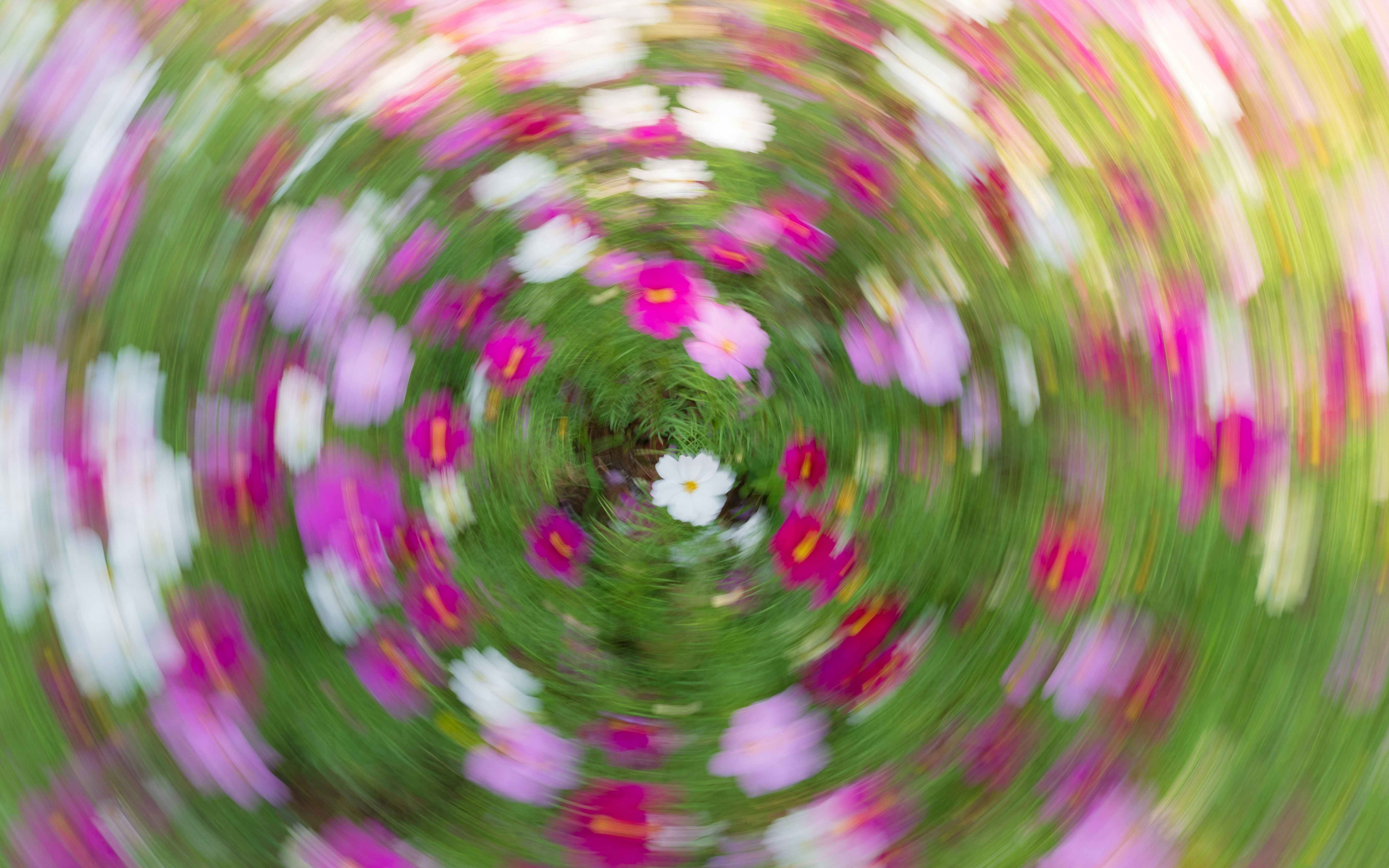 Photo by Zheng XUE with Nikon Z6 III