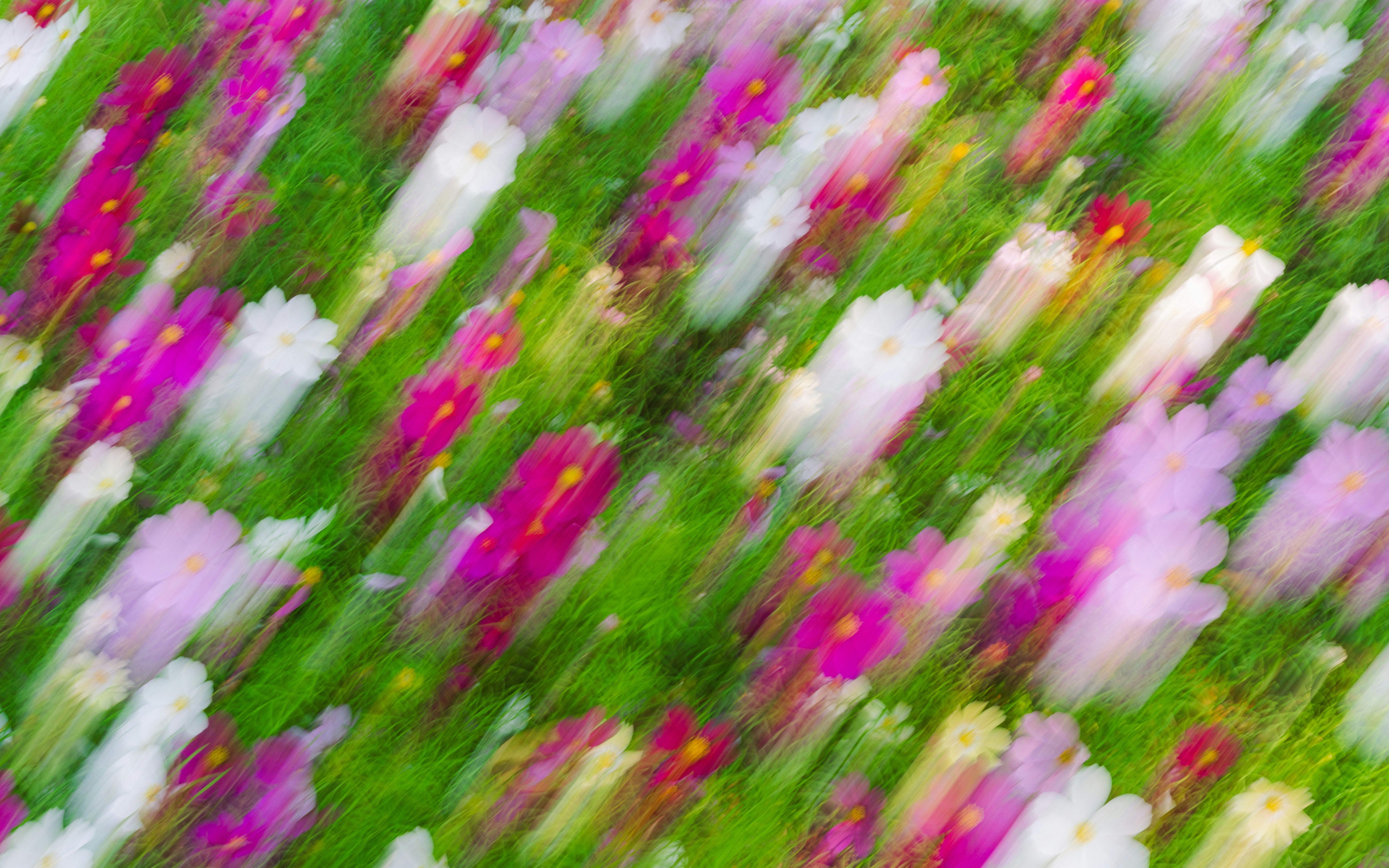 Photo by Zheng XUE with Nikon Z6 III