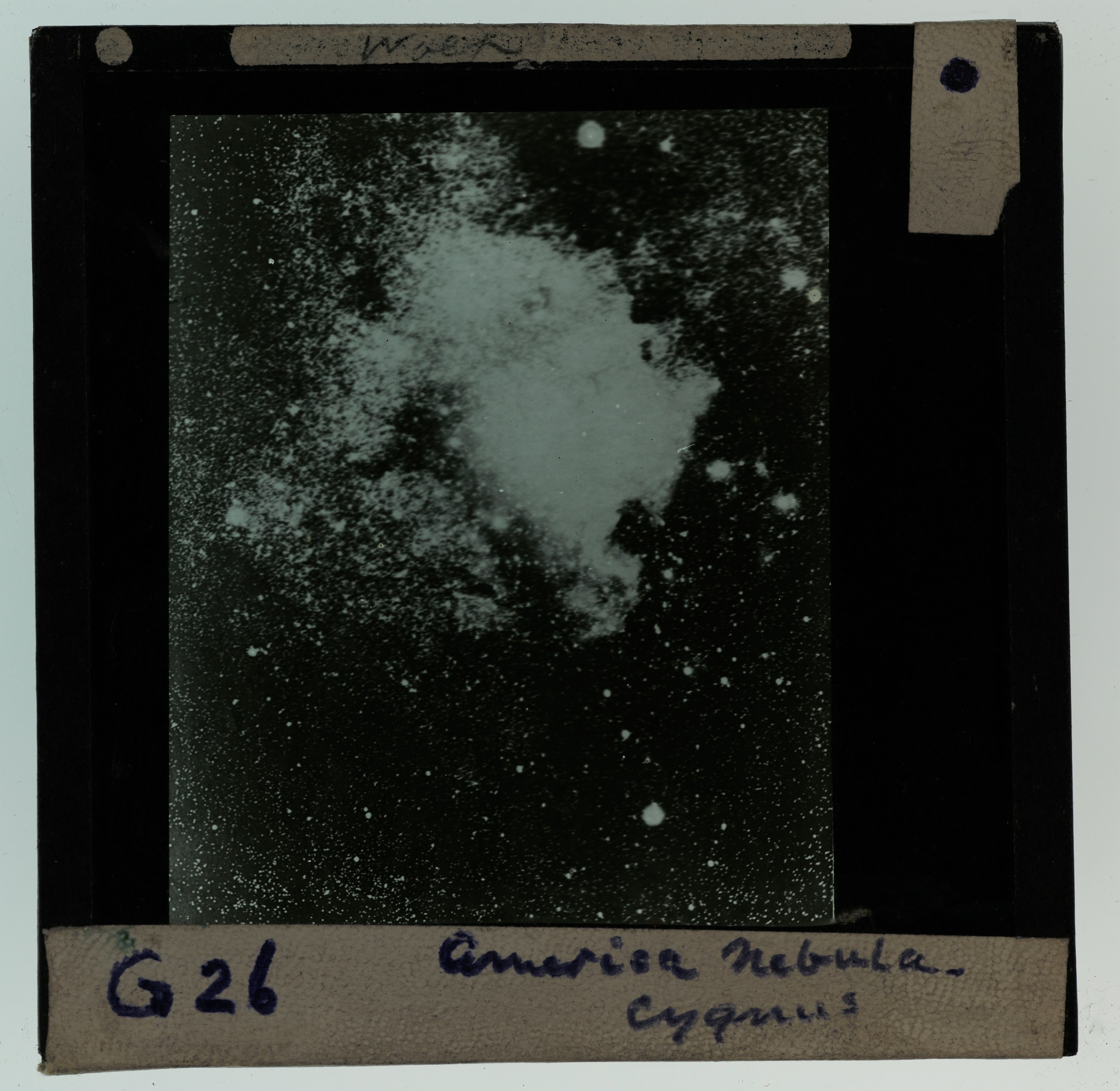 A lantern slide produced by Clement Lindley Wragge (b.1852, d.1922), likely dating between 1890-1922. The slide shows an image of a star cluster and surrounding stars in space, depicting America Nebula Cygnus. Shared by Auckland War Memorial Museum, Tāmaki Paenga Hira, as part of the Clement Lindley Wragge collection. 235948|PH-1984-1-LS78-3-19|26. No known copyright restrictions. https://www.aucklandmuseum.com/discover/collections/record/1033267