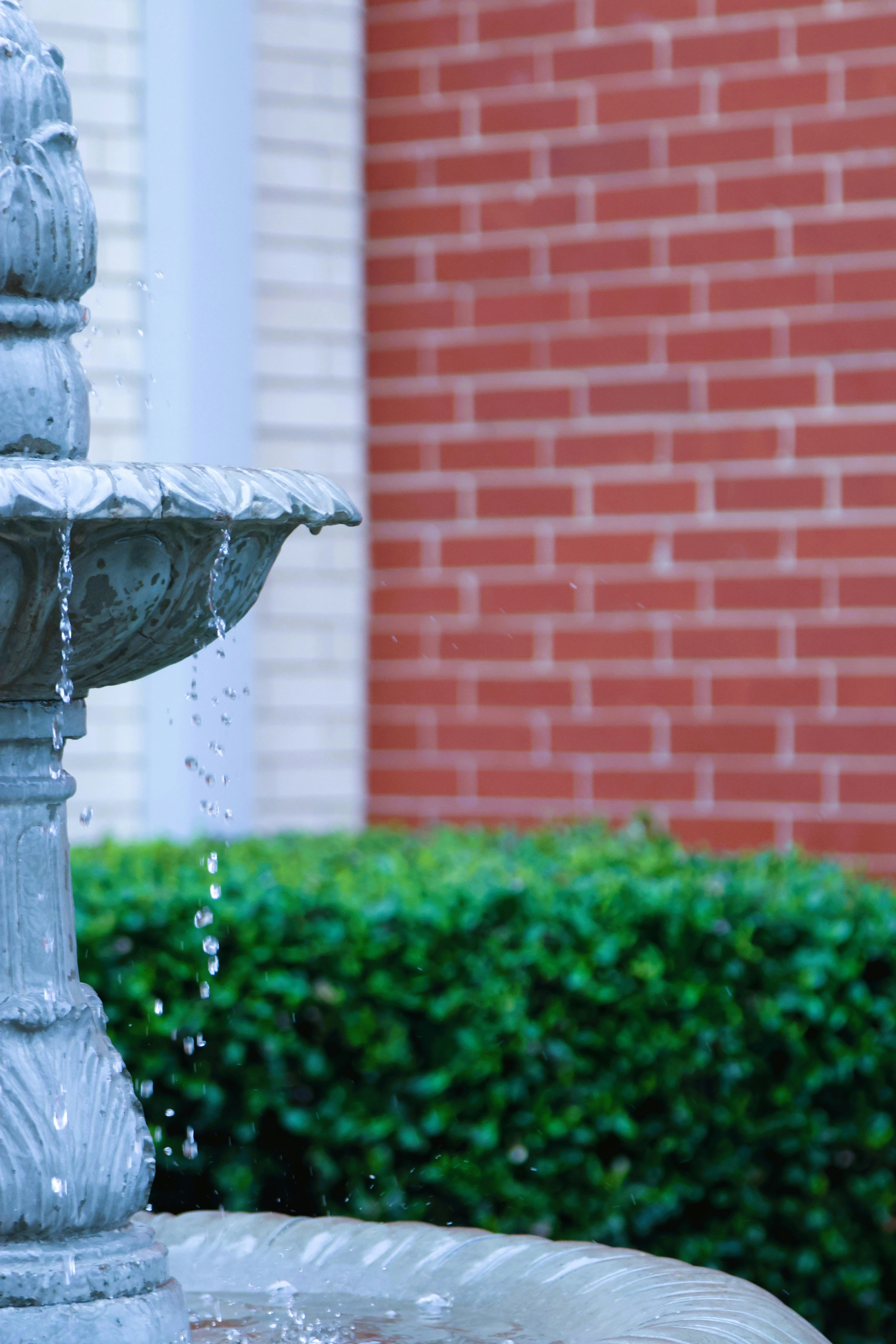 Photo by Shay Sumner with Canon EOS R7