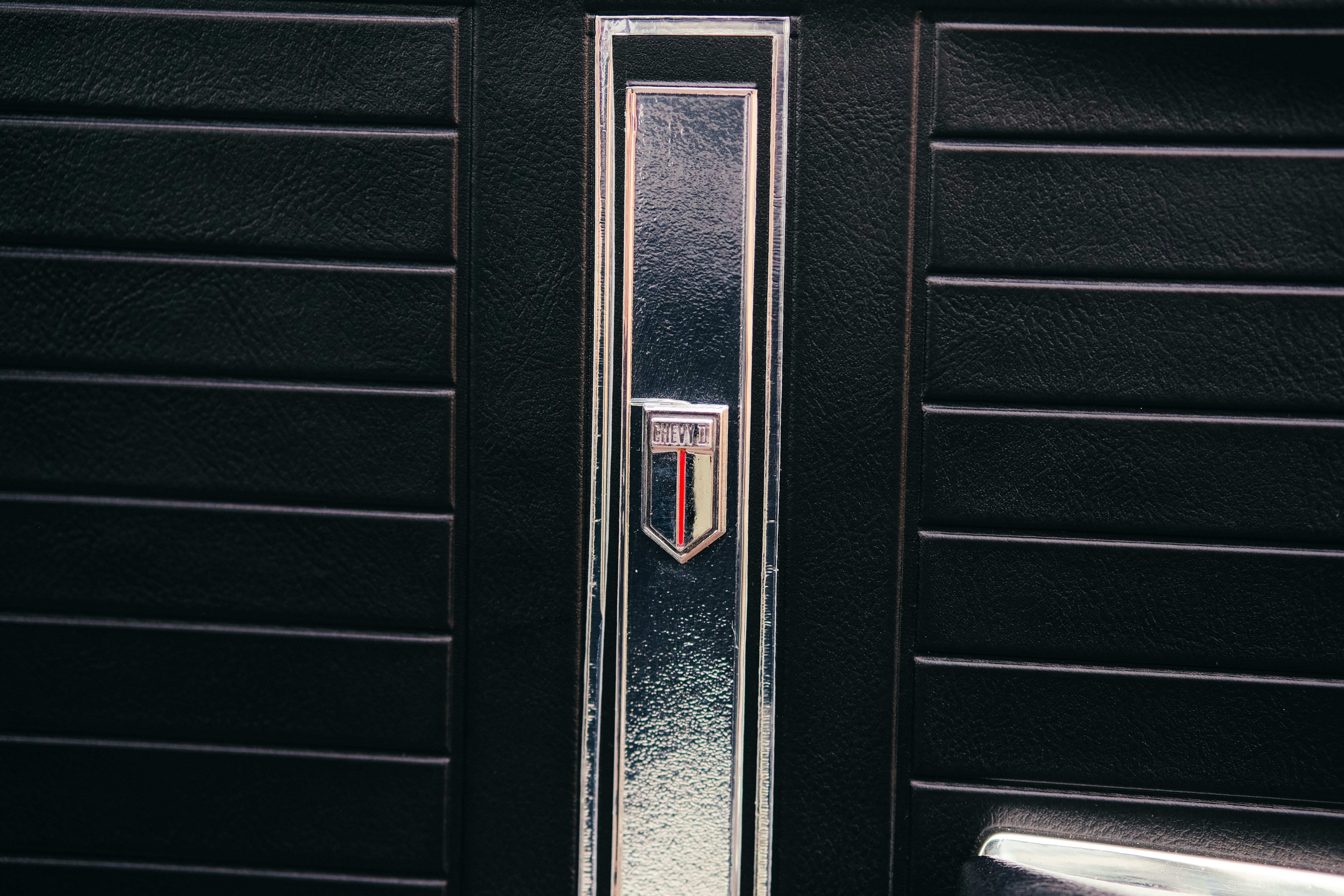 Central Shield: A Close-Up of a Glinting Door Emblem