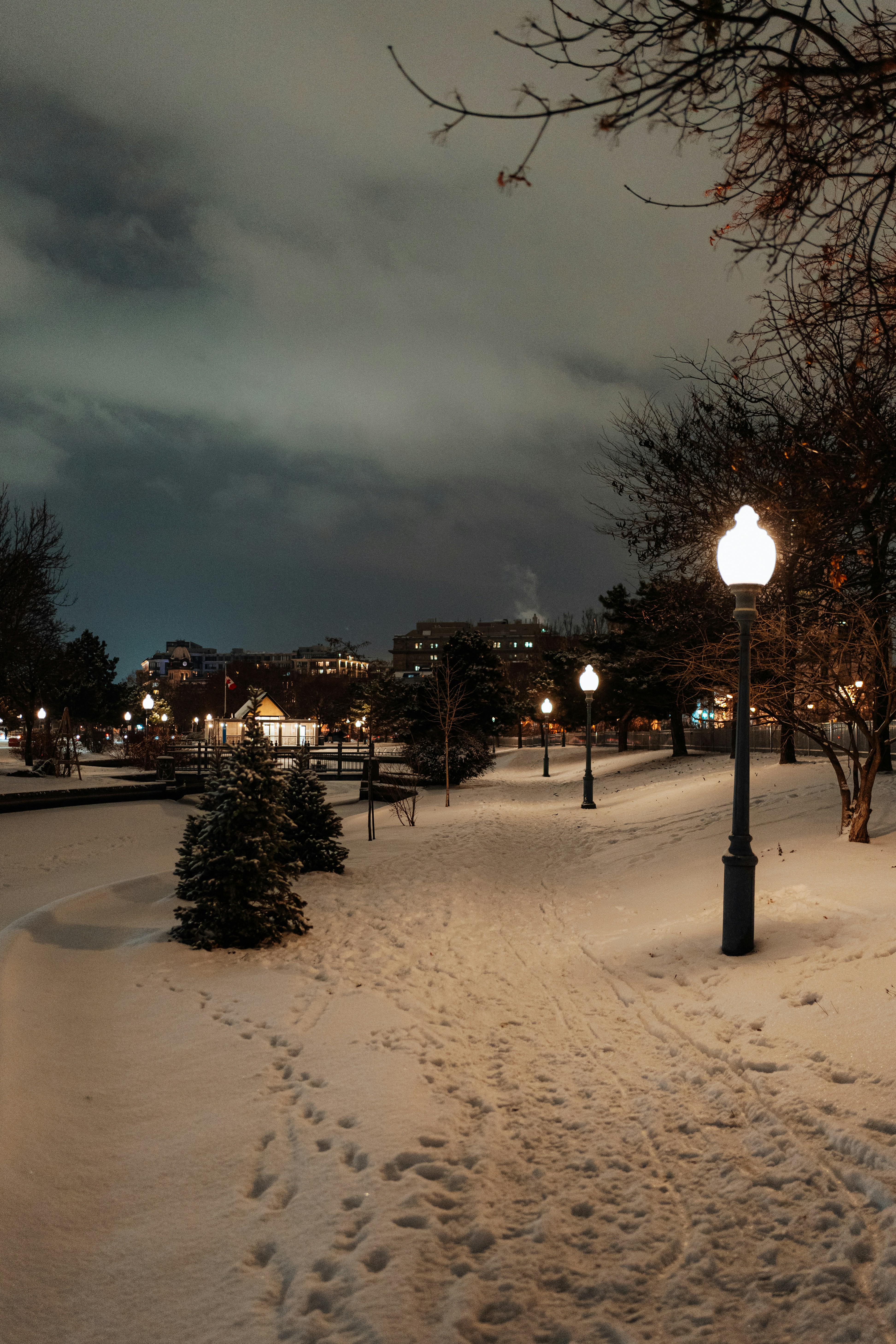 Snowlit Lanterns Along a Quiet City Park Path